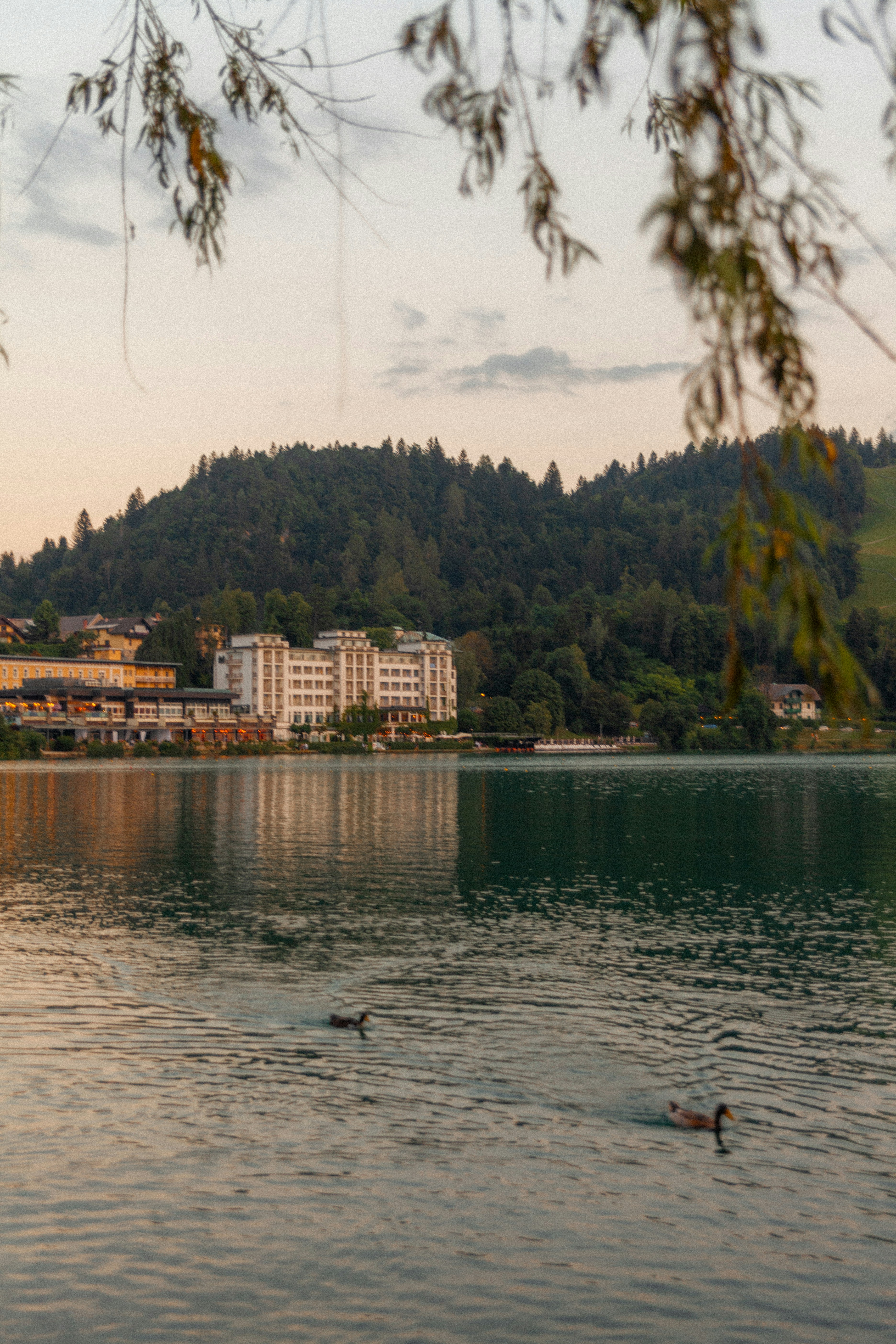 Sunset Over a Lakeside Village Framed by Forested Hills