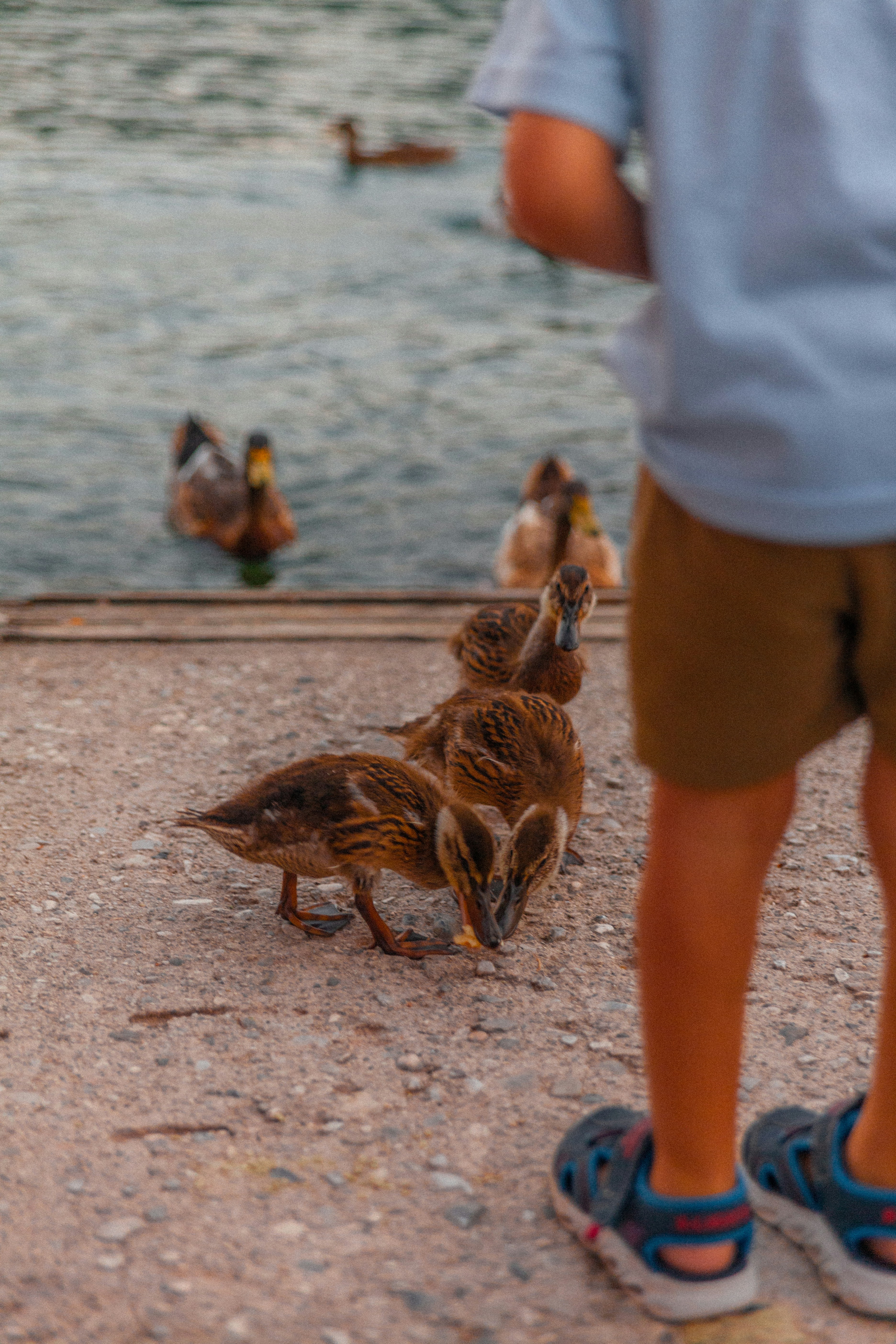 Photo by Klaudia Borowiec with Canon EOS 5D Mark II