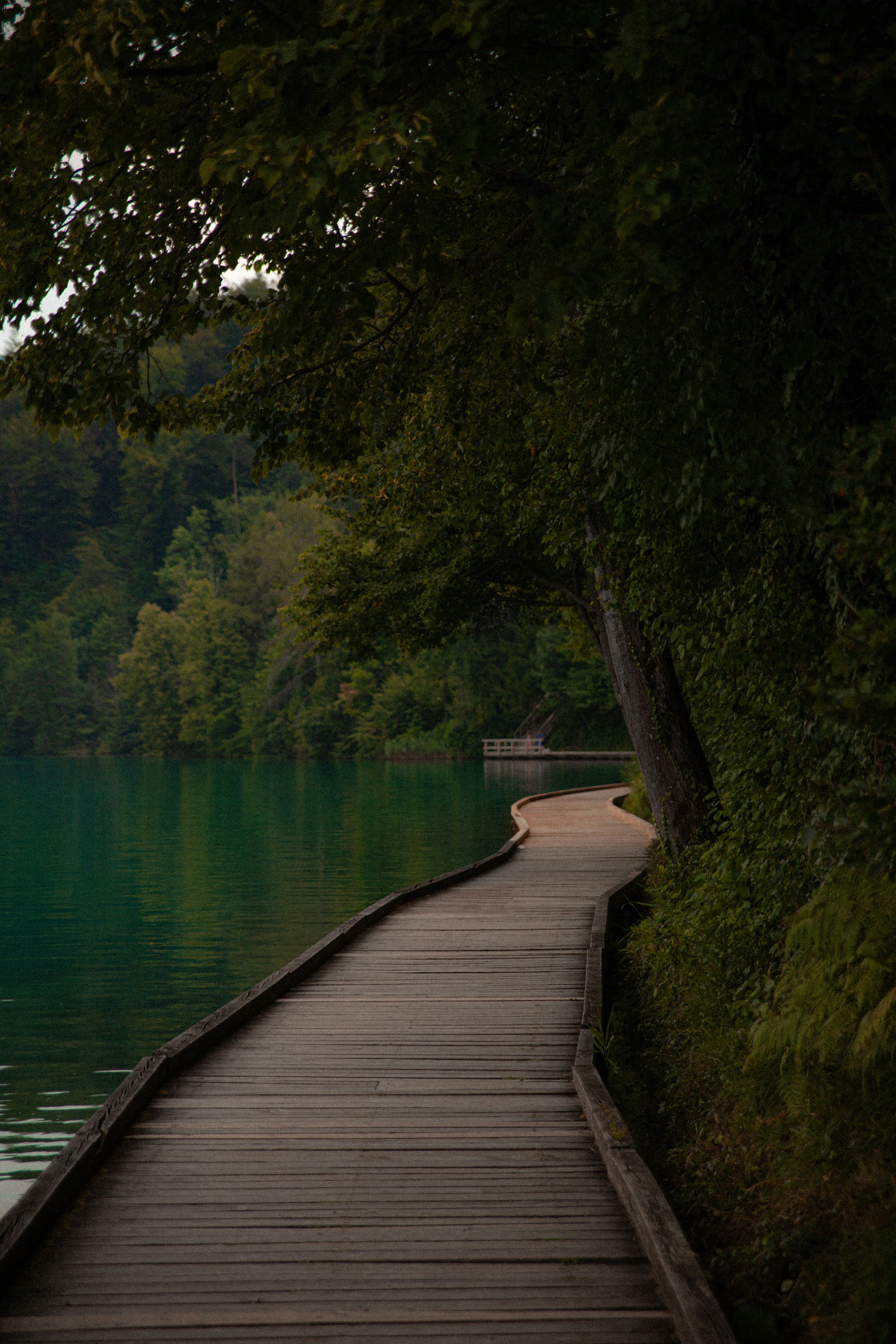 Twilight Boardwalk Along an Emerald Lake
