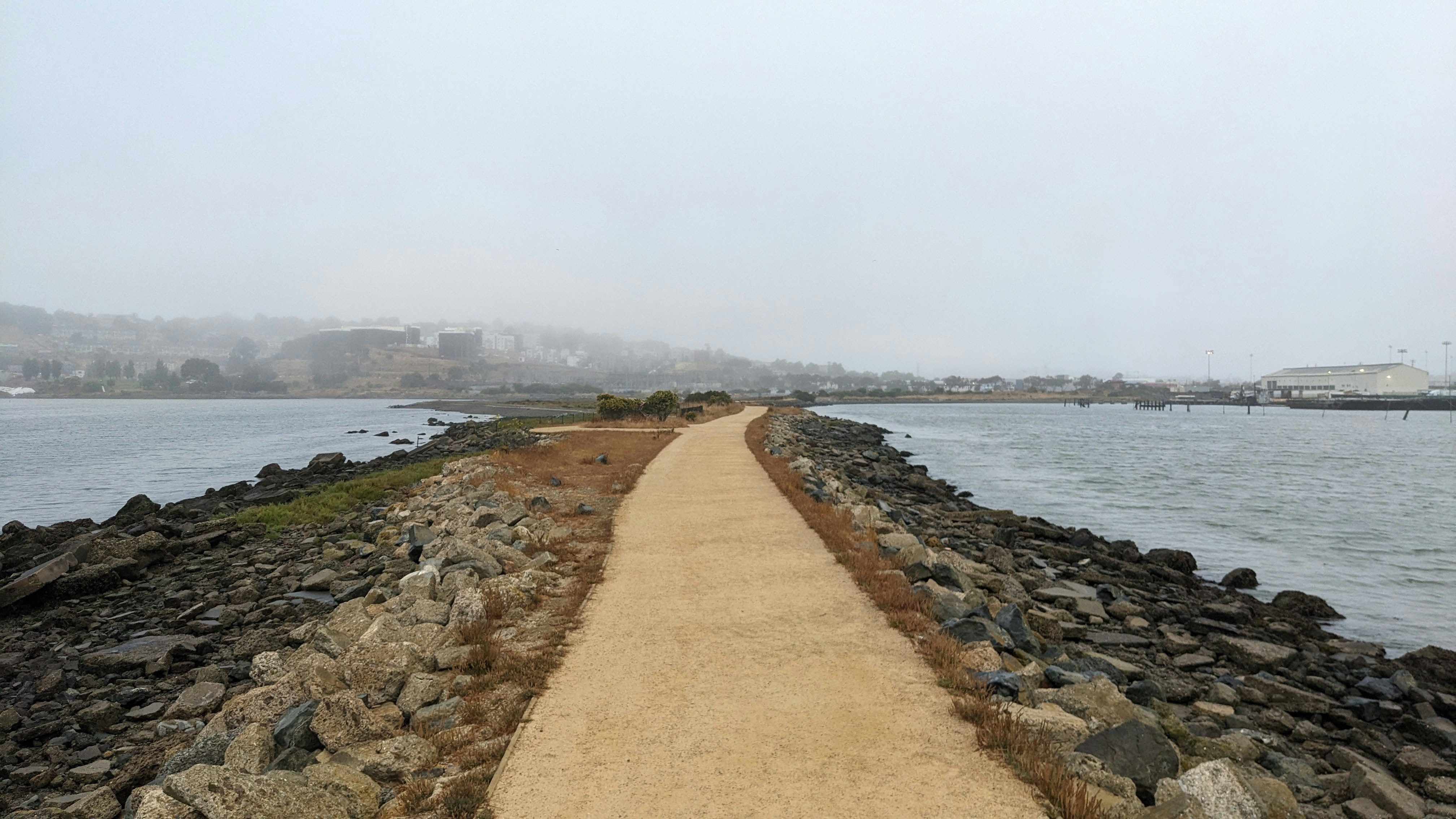 A path leading to a body of water on a foggy day photo – Free City ...