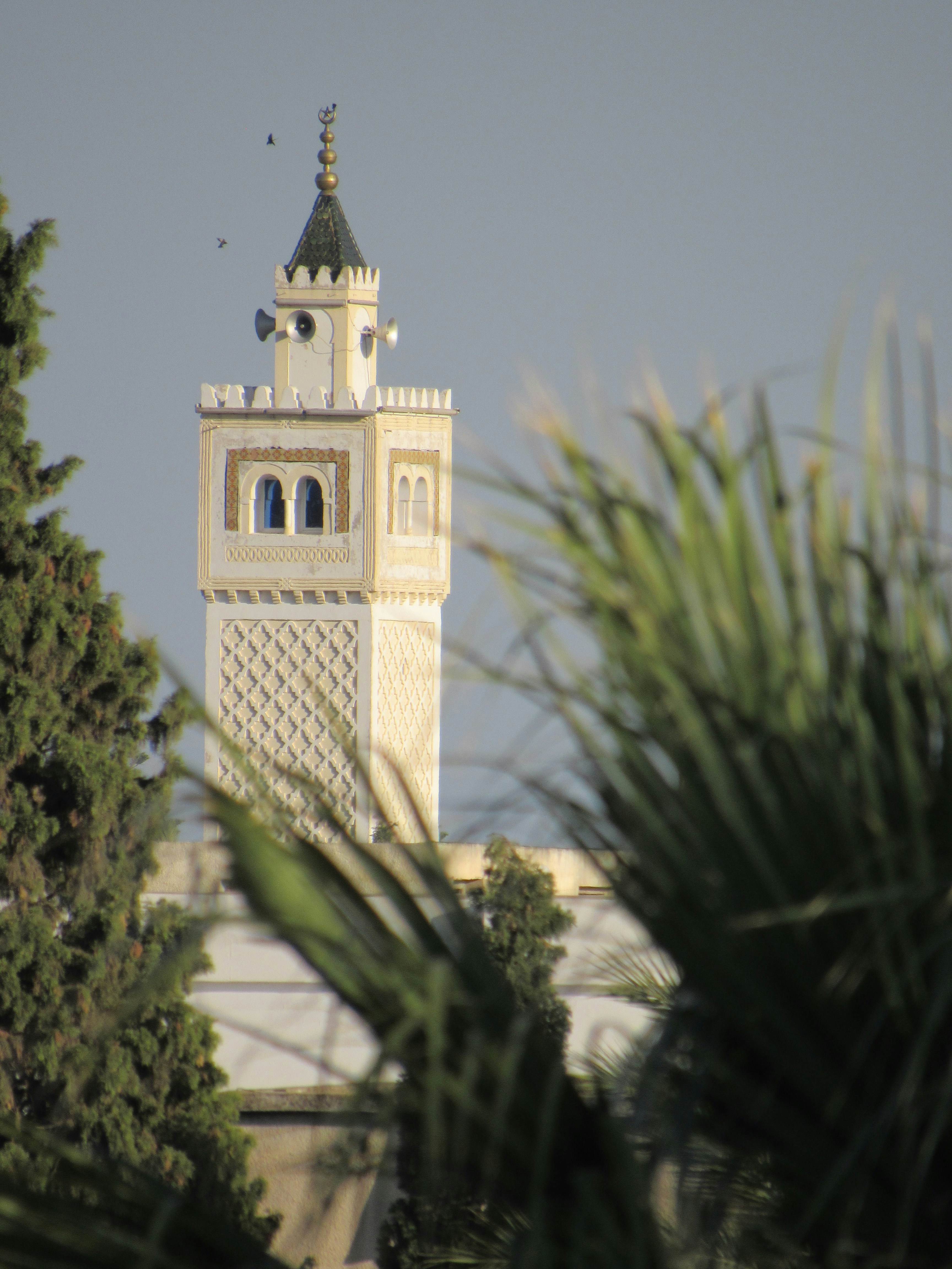 Ivory minaret rises above lush greenery with a clear blue sky and birds overhead.