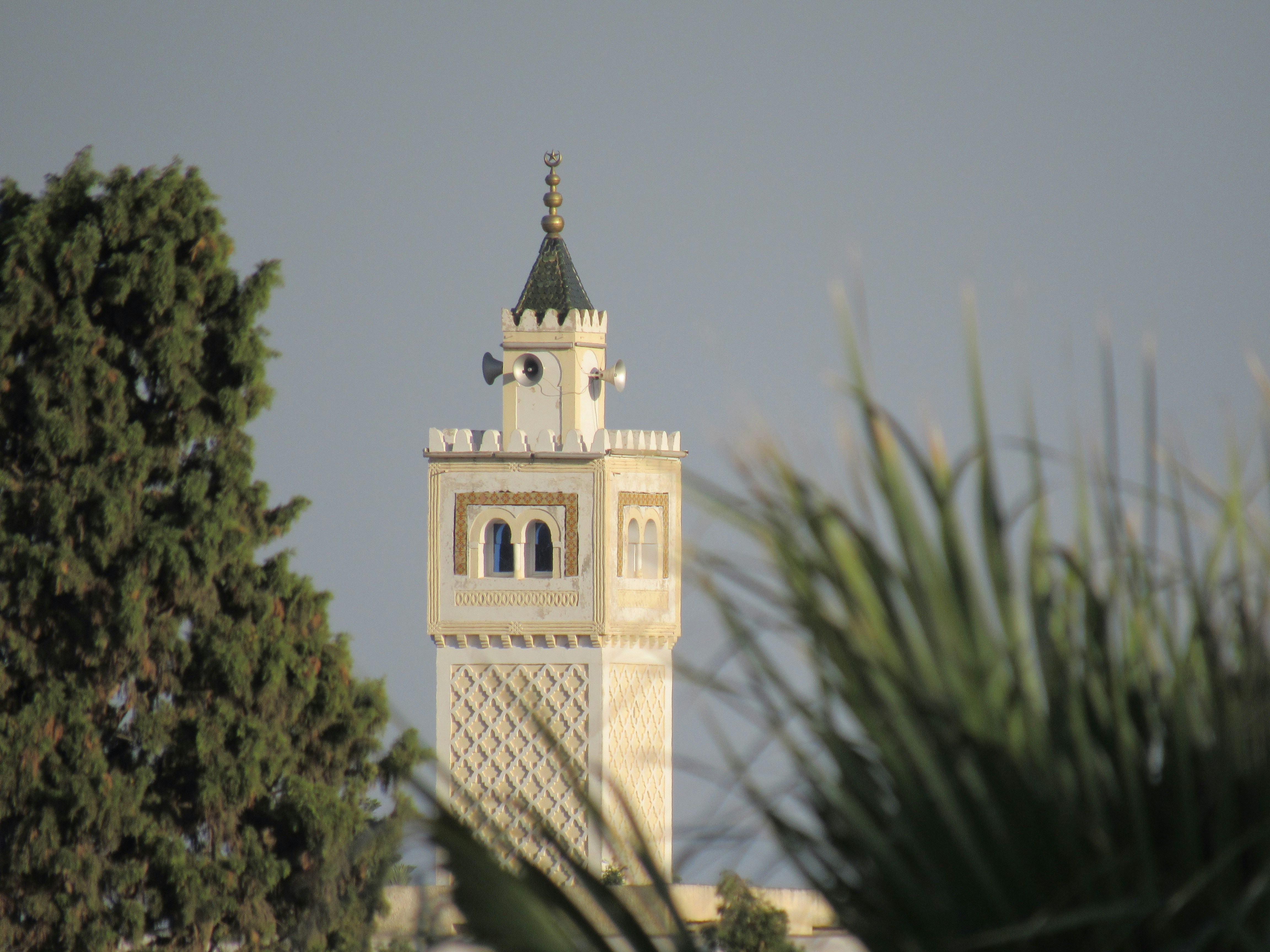 Photo by ela aloui with Canon PowerShot SX520 HS