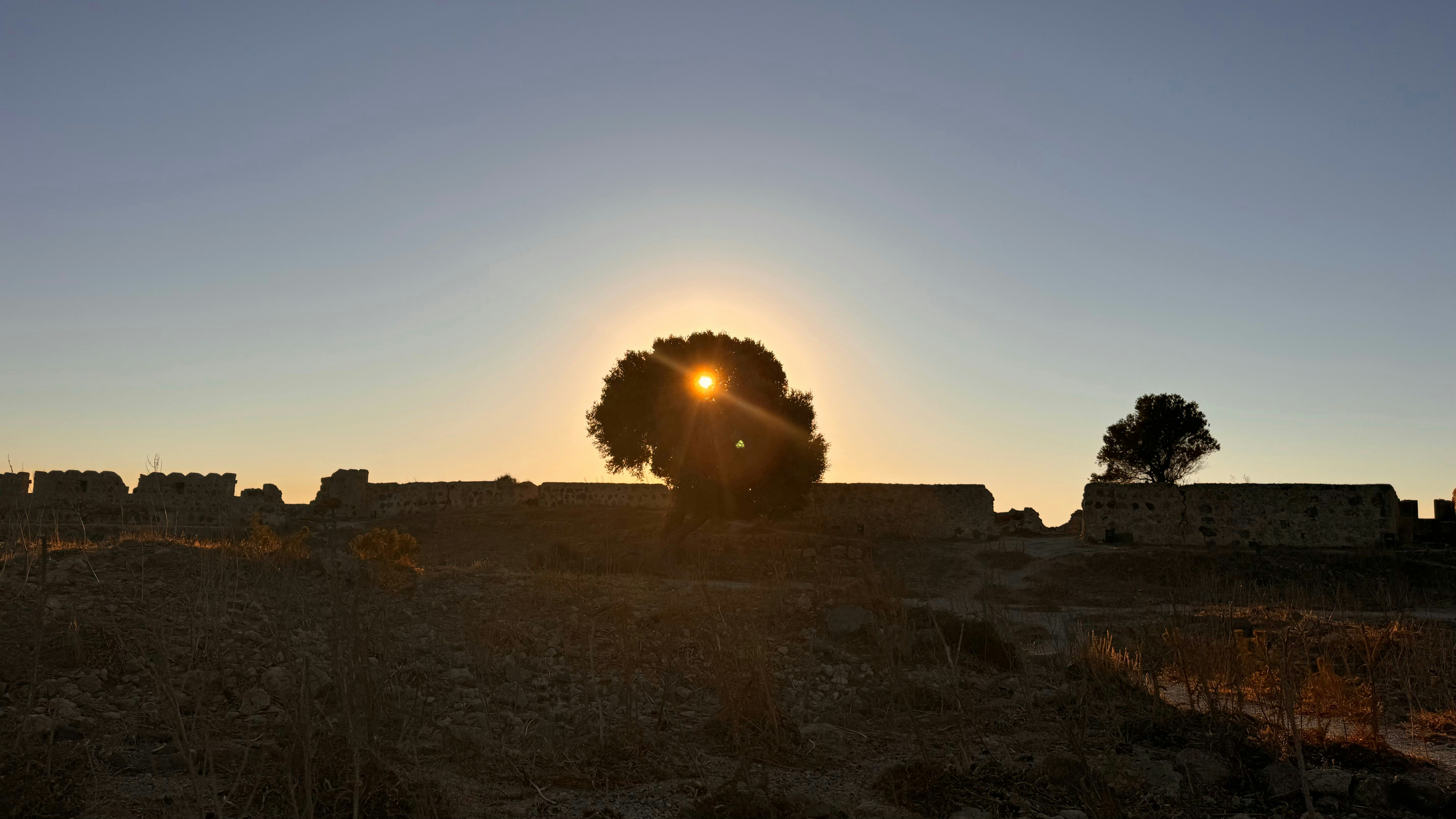 Suncrest over Ruins: a lone tree haloed by the setting sun