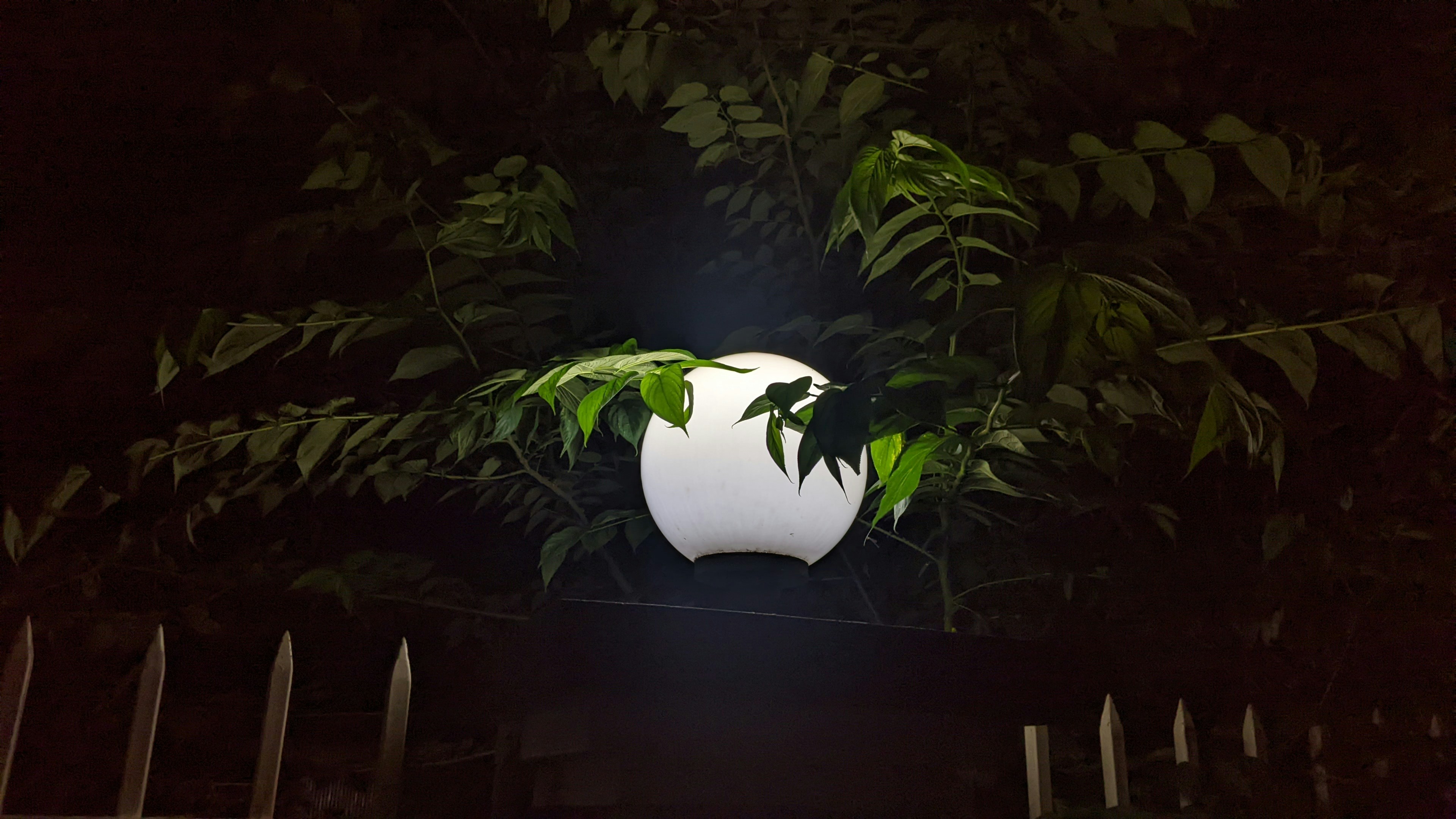 A glowing white lantern sits behind dense green leaves in a dark garden, creating a soft halo. The composition centers on the lantern as the focal point amid nocturnal foliage.