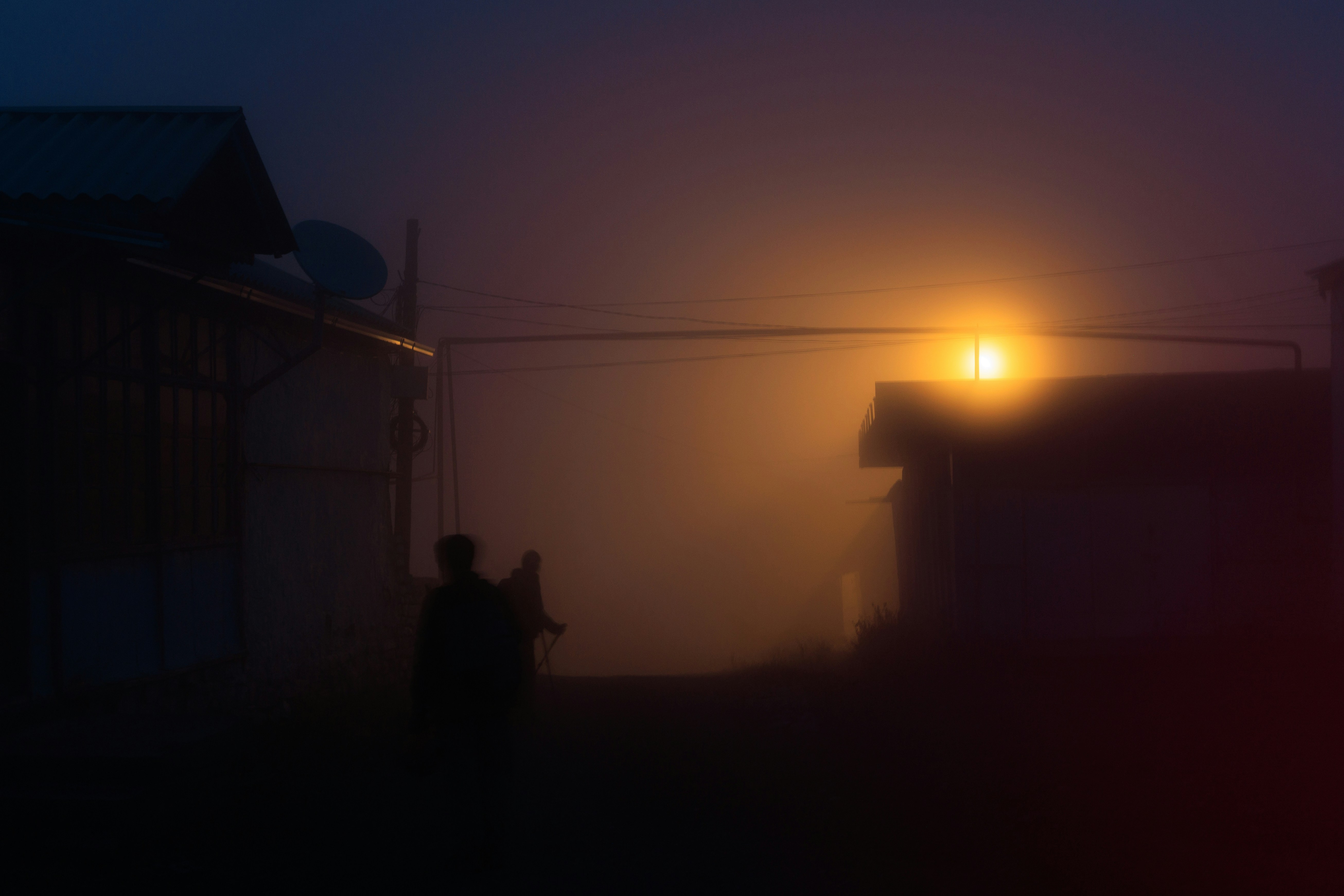 Halo in the Fog: Silent silhouettes under a solitary streetlight
