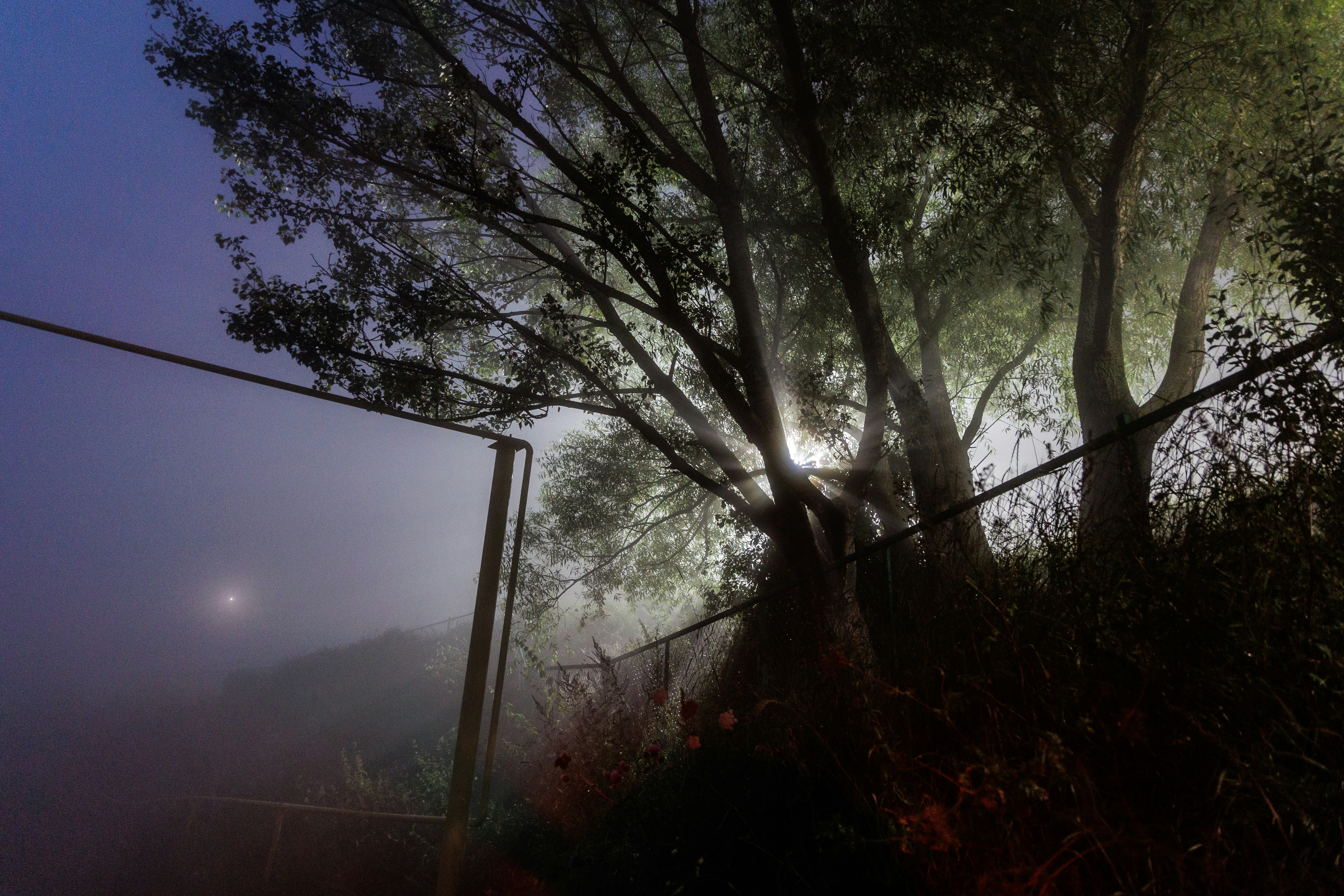 Photo by Alexey Elfimov with Canon EOS R6