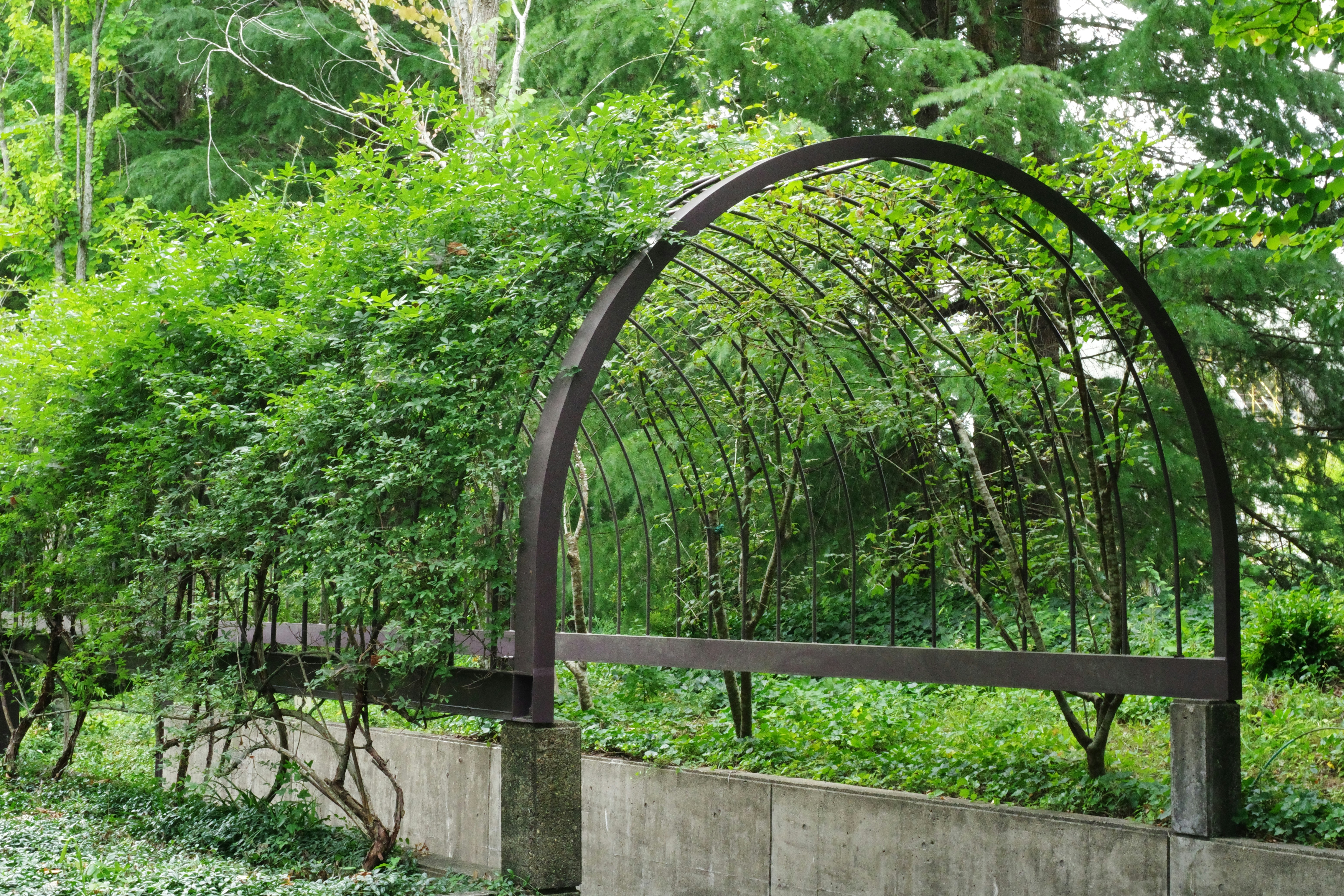 Beautiful green and flower garden、新緑と美しい花が織りなす絶景 A superb view of fresh greenery and beautiful flowers