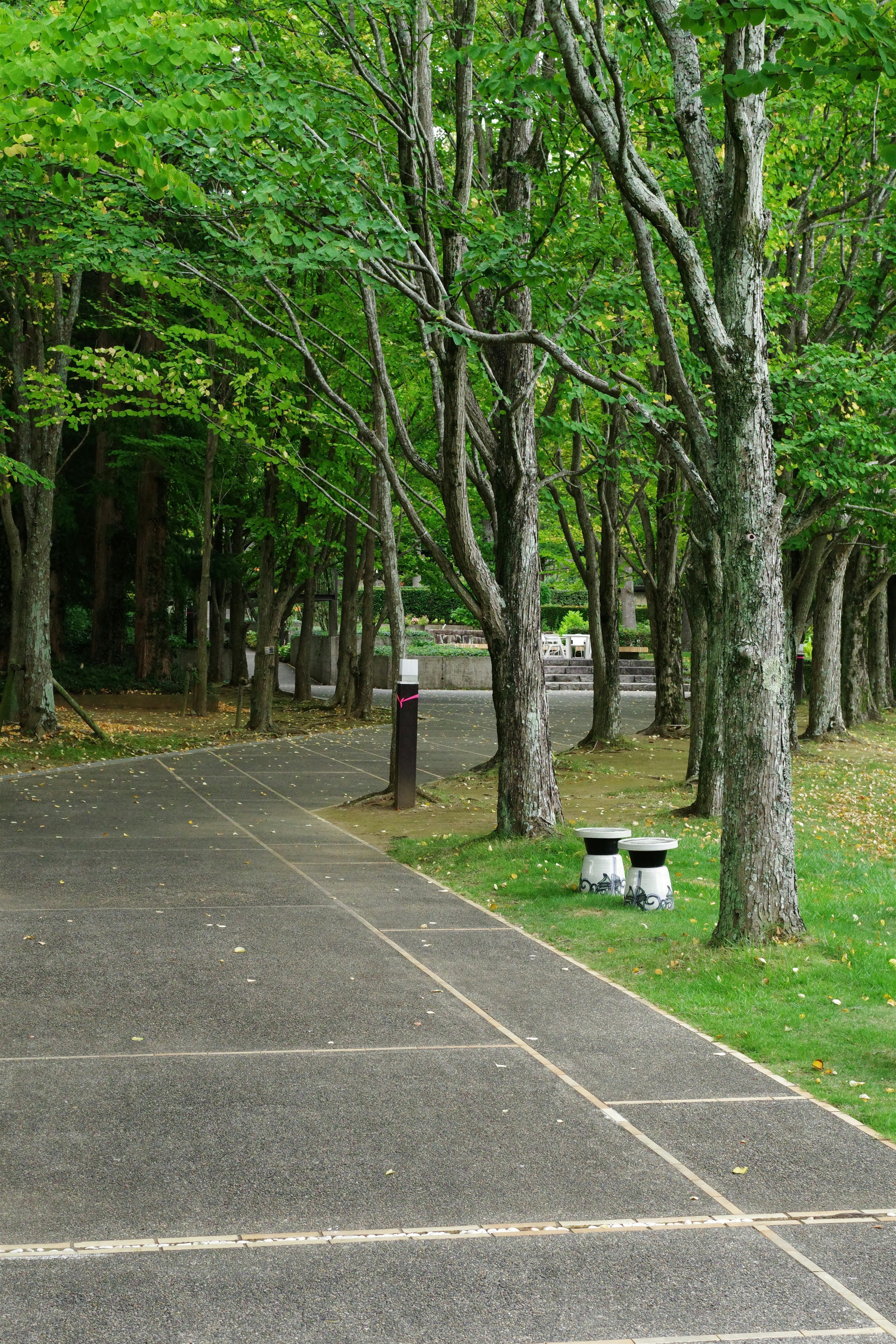 Tree-lined park path winds under a dense green canopy, with a dark post marked by a pink ribbon and two white-topped bins visible in the foreground. This tranquil moment emphasizes the quiet, pedestrian-friendly walkway.