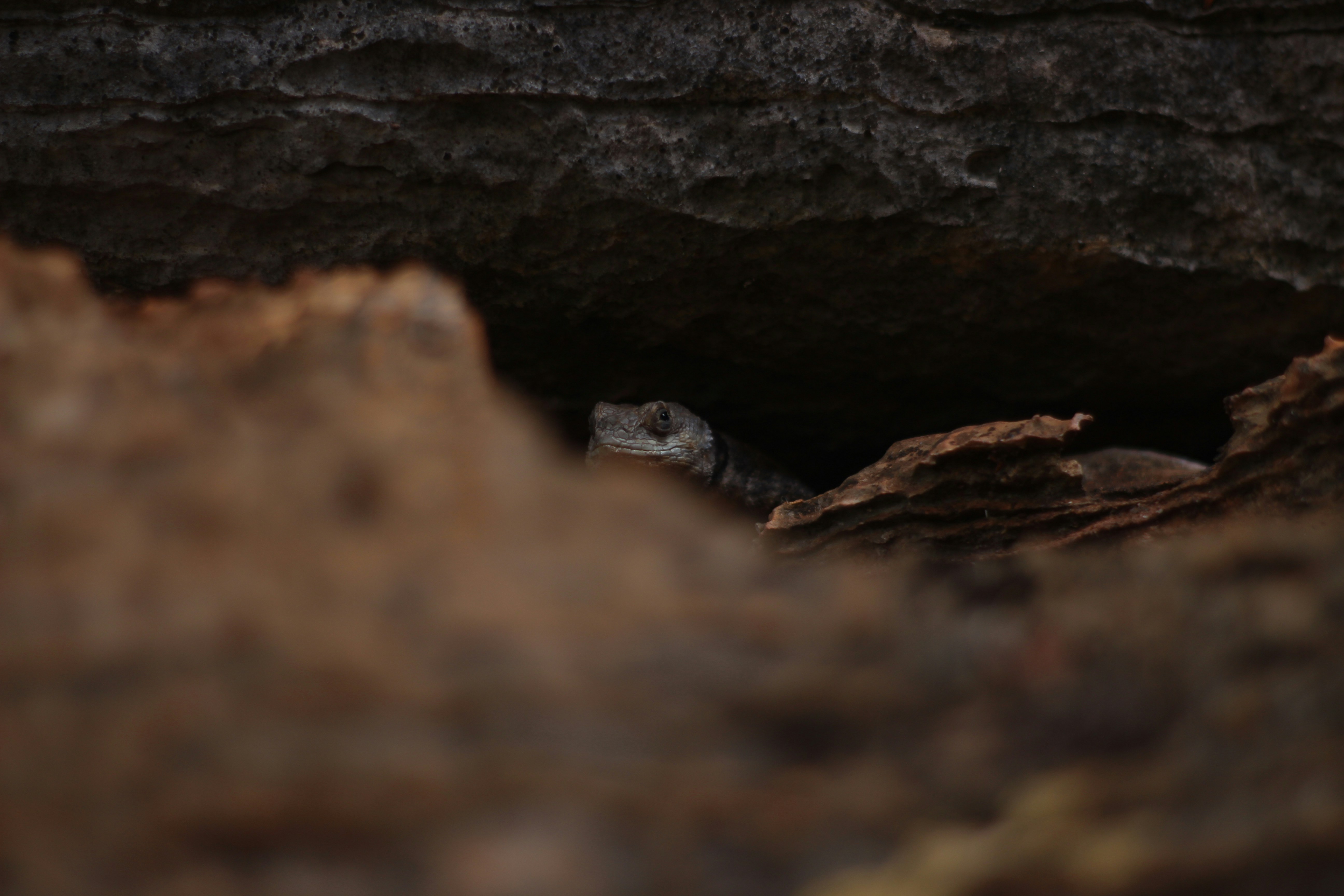 Photo by Otacilio Maia with Canon EOS 700D