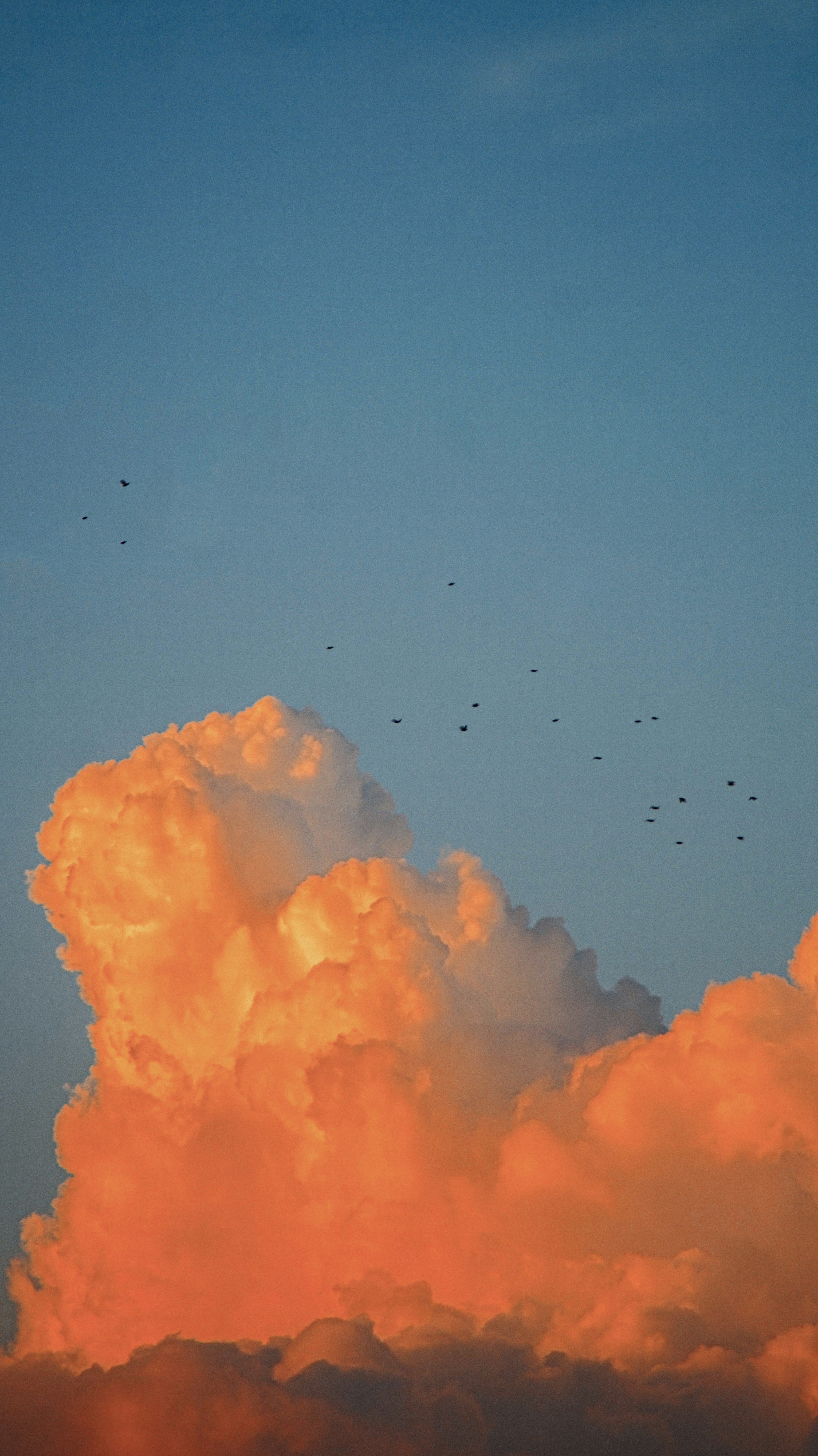 Ember-Crested Clouds Over a Quiet Blue Sky