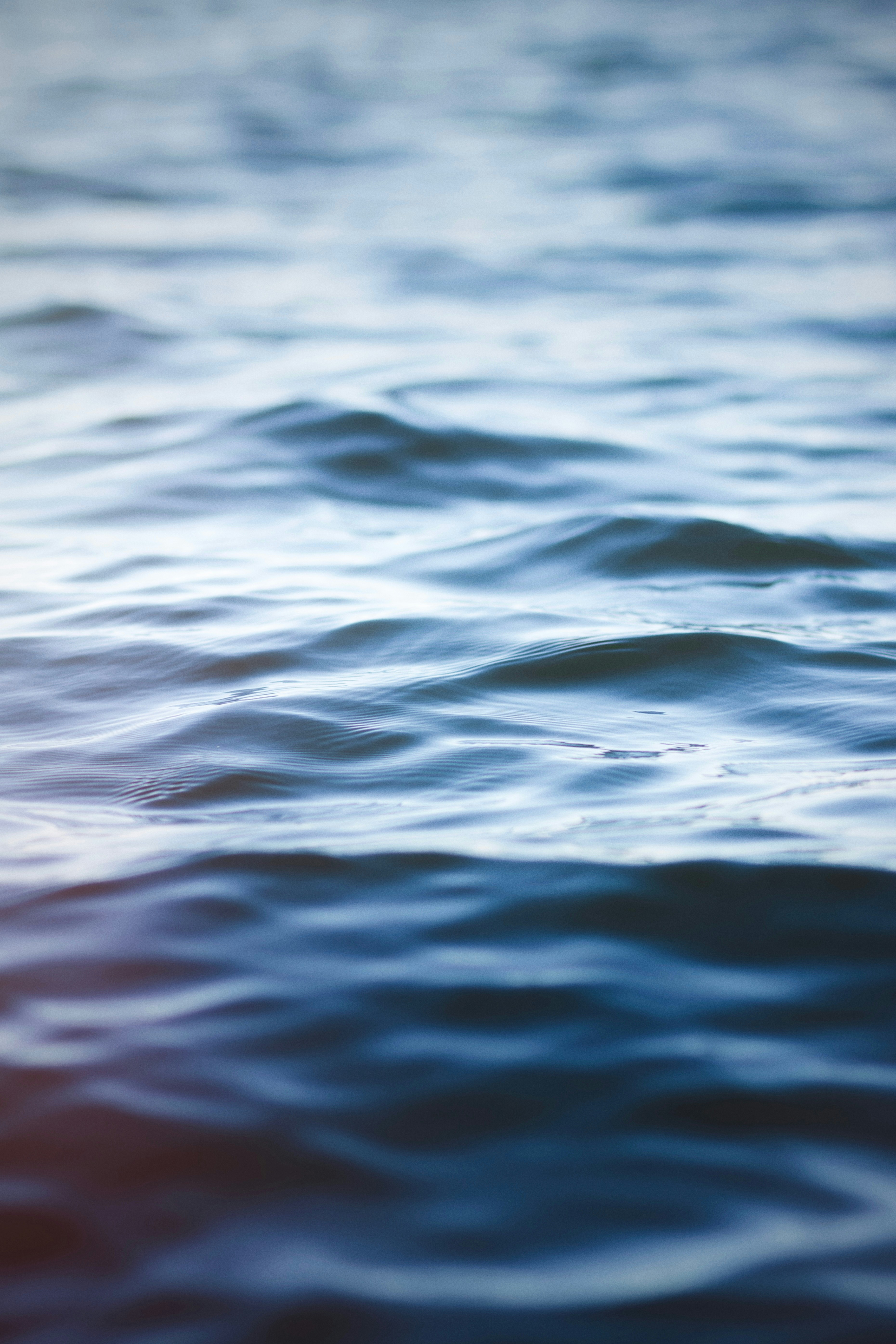 30,000+ Water Surface Pictures | Download Free Images on Unsplash