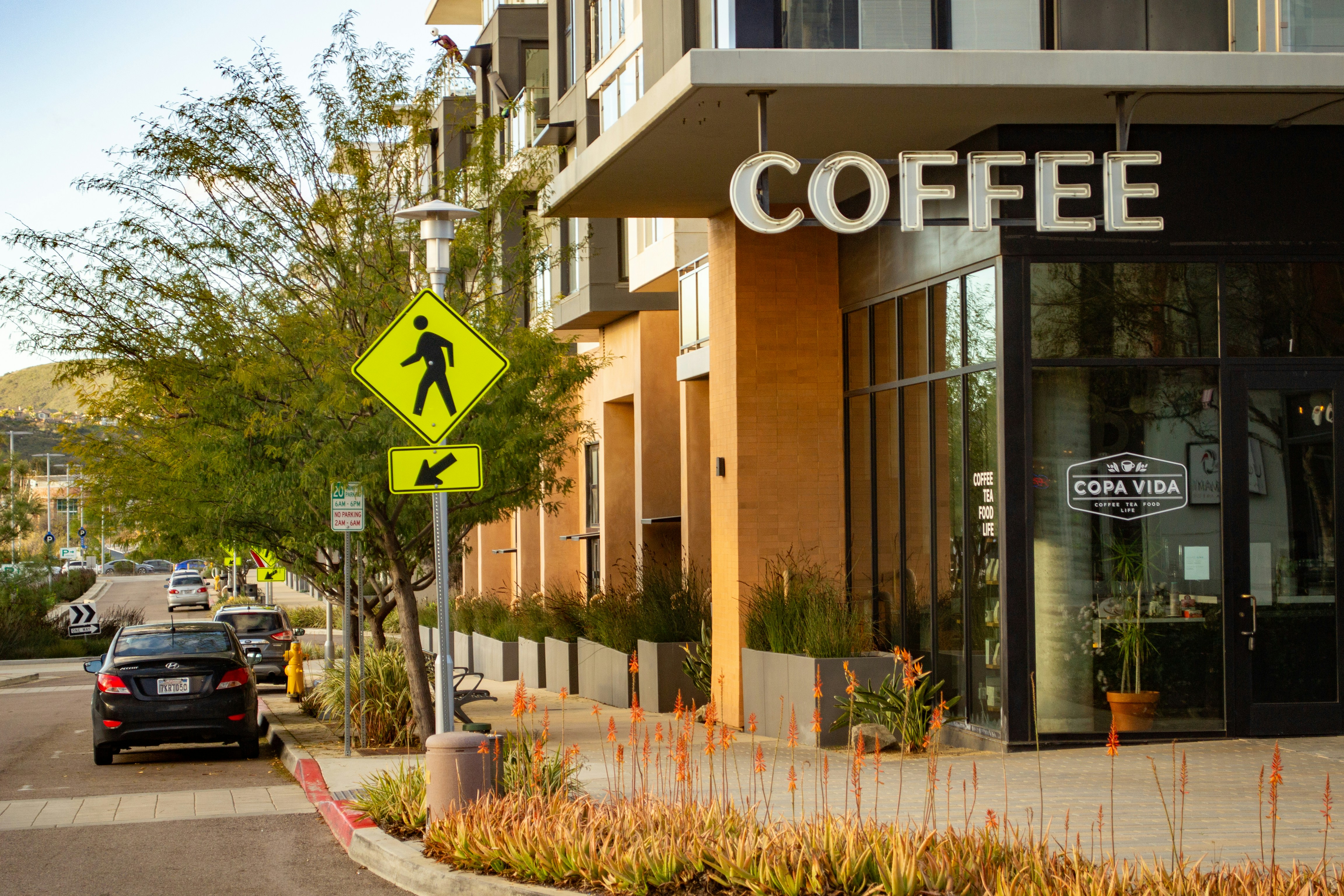 Street corner coffee shop with parked cars and pedestrian crossing sign in a sunny urban setting.