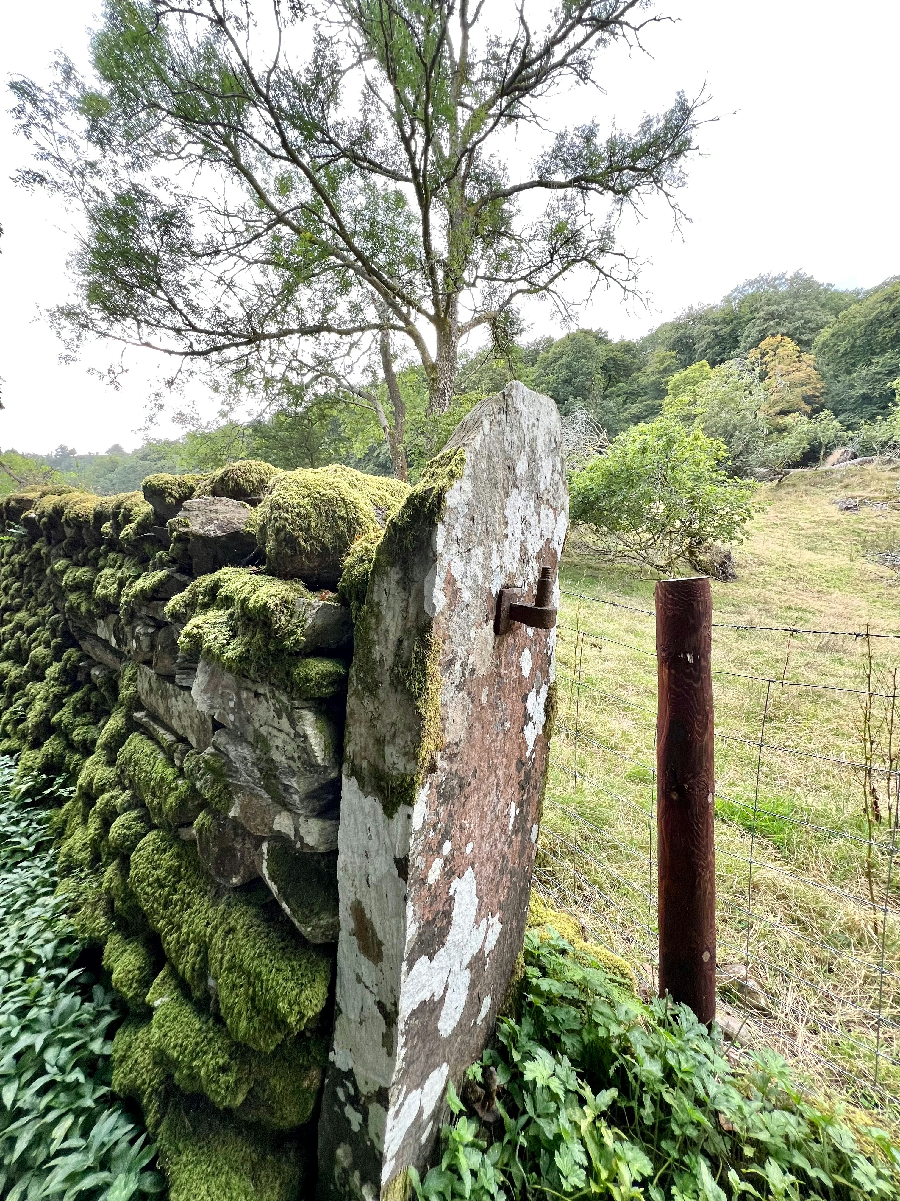 Lichen-Clad Milestone Framed by a Mossy Field Wall
