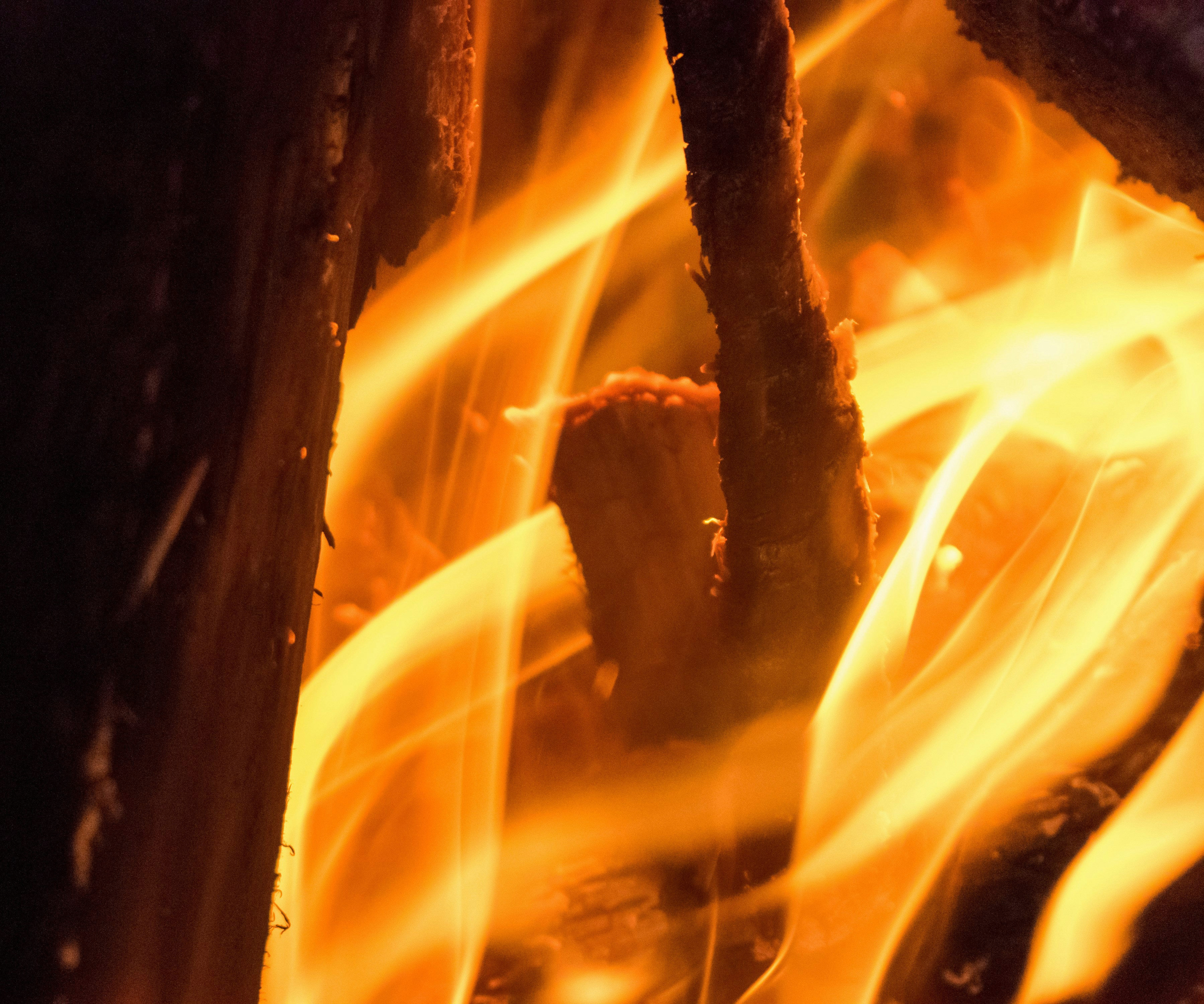 A close up of a fire burning in a fireplace photo – Free Fire Image on ...