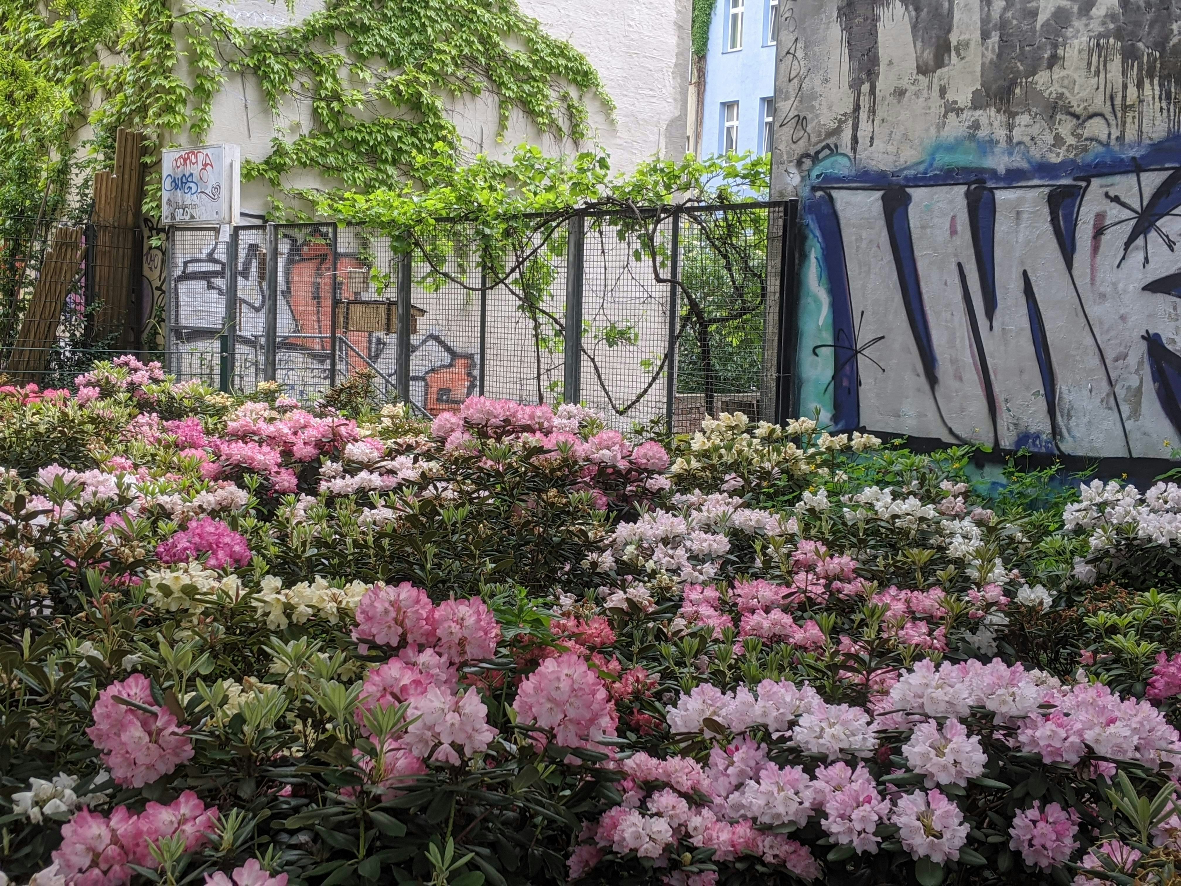 Seen on a walk in Mitte, Belin