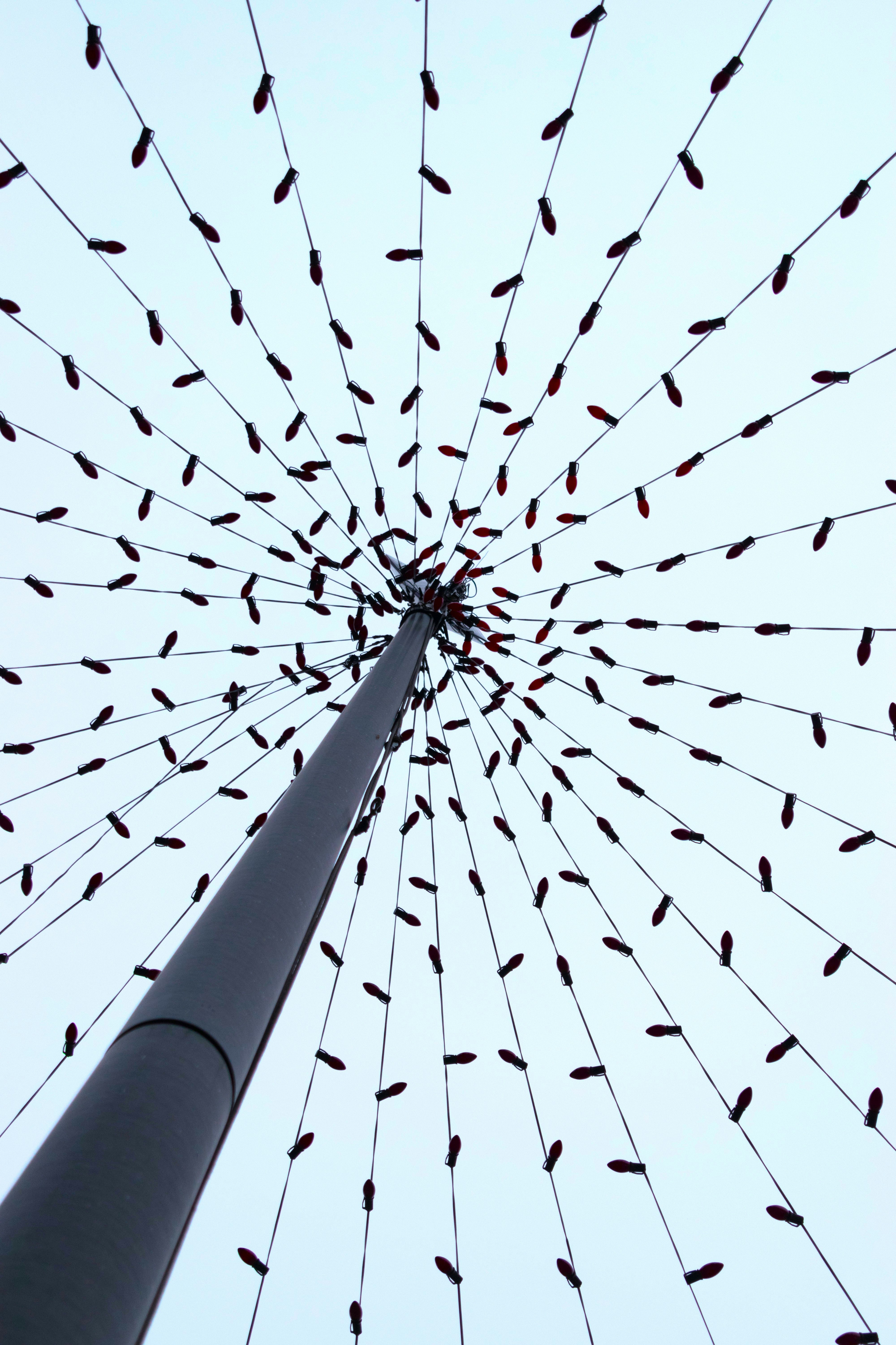 Radial Span: A Lightpole Converges toward the Sky