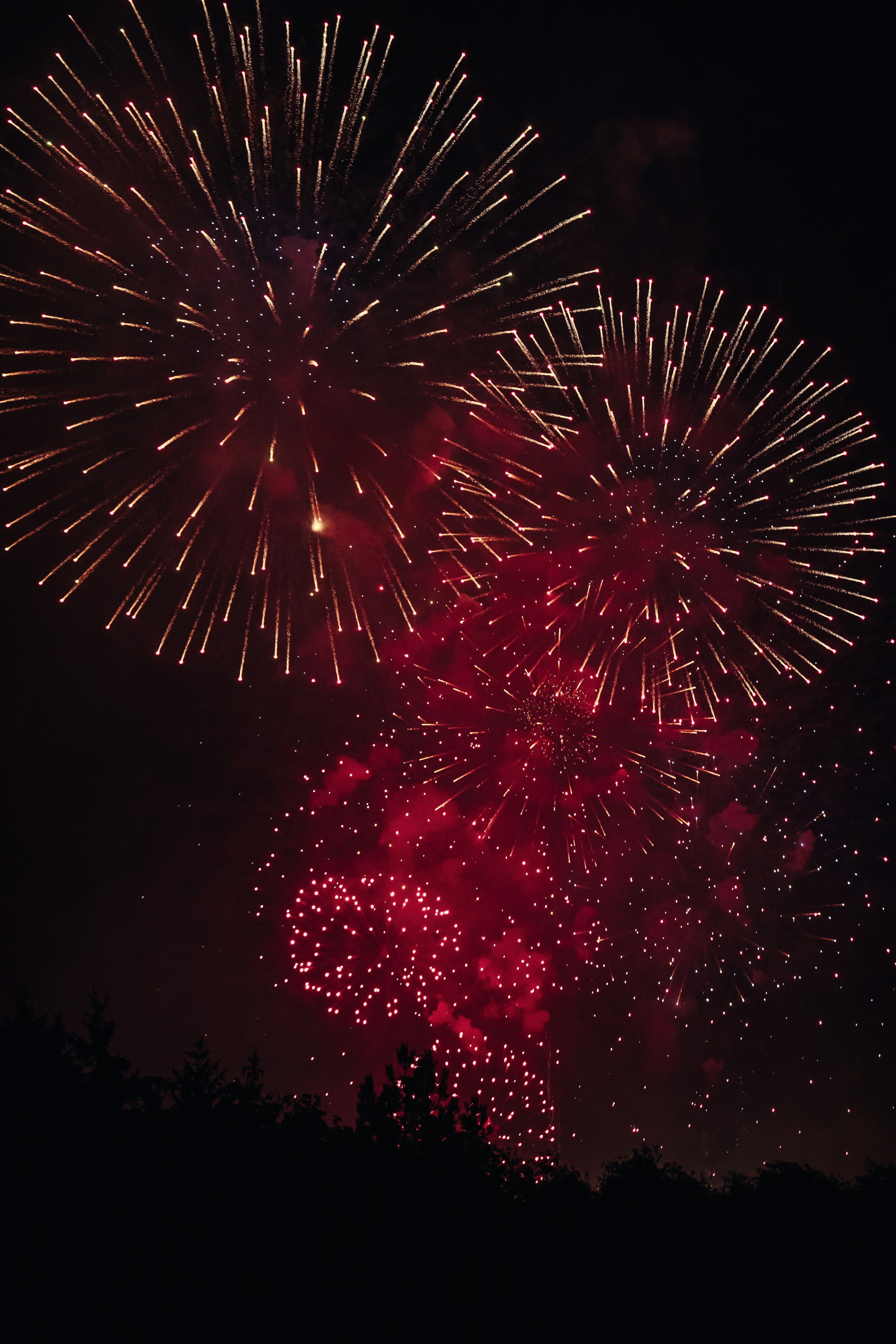 A firework display in the night sky photo – Free Fireworks Image on ...