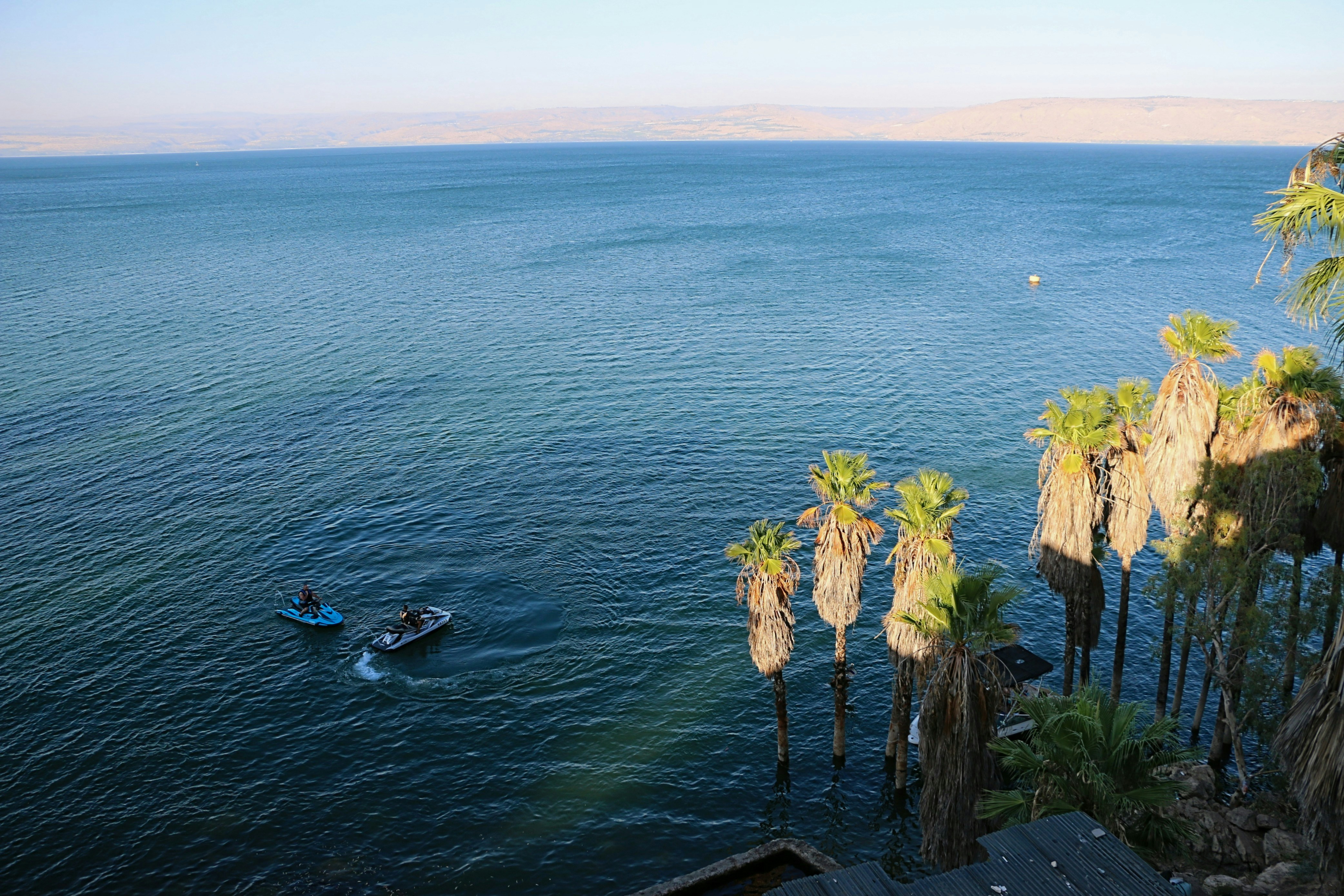 A view of a body of water with palm trees photo – Free Horizon Image on ...