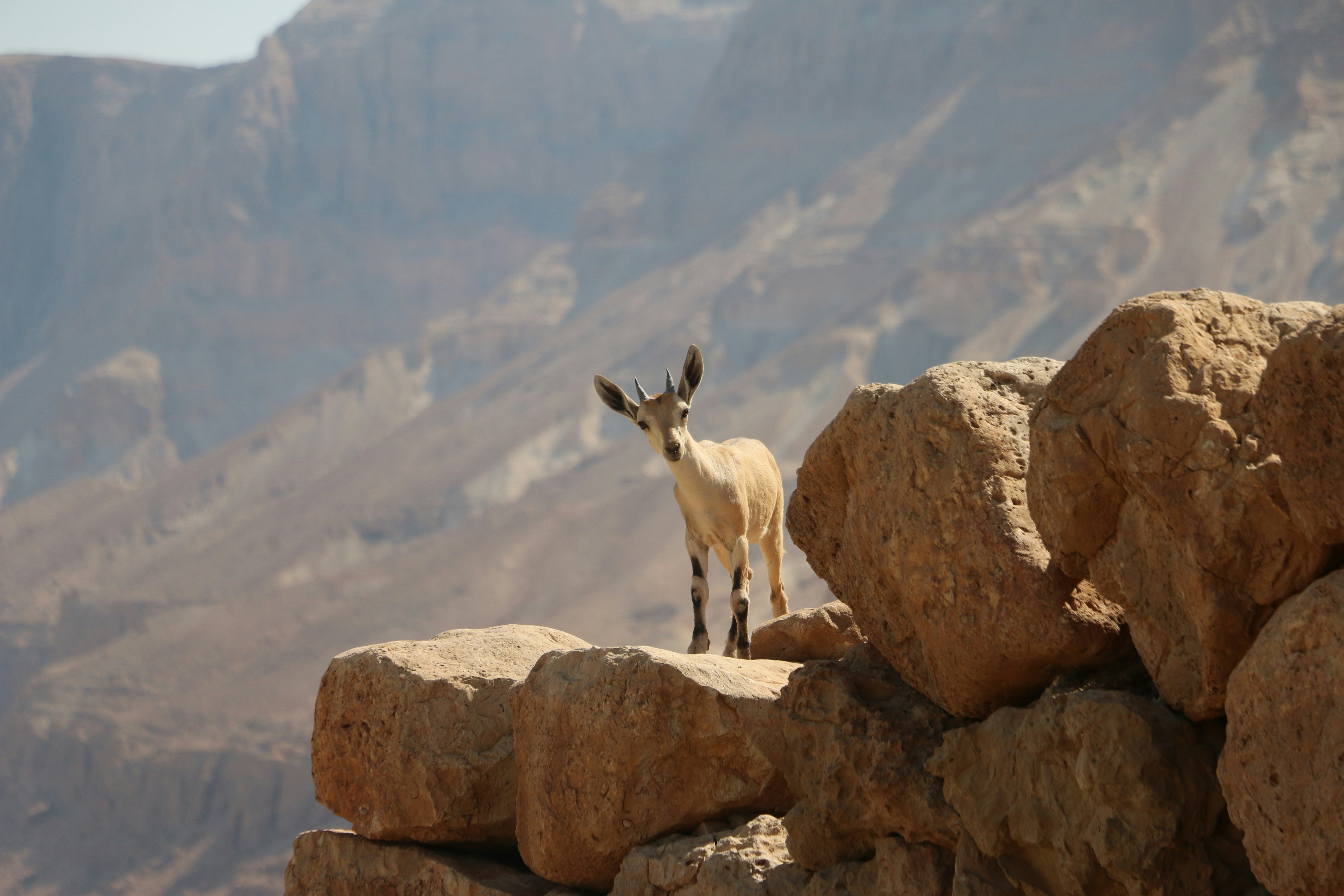 Photo by Haim Charbit with Canon EOS 70D