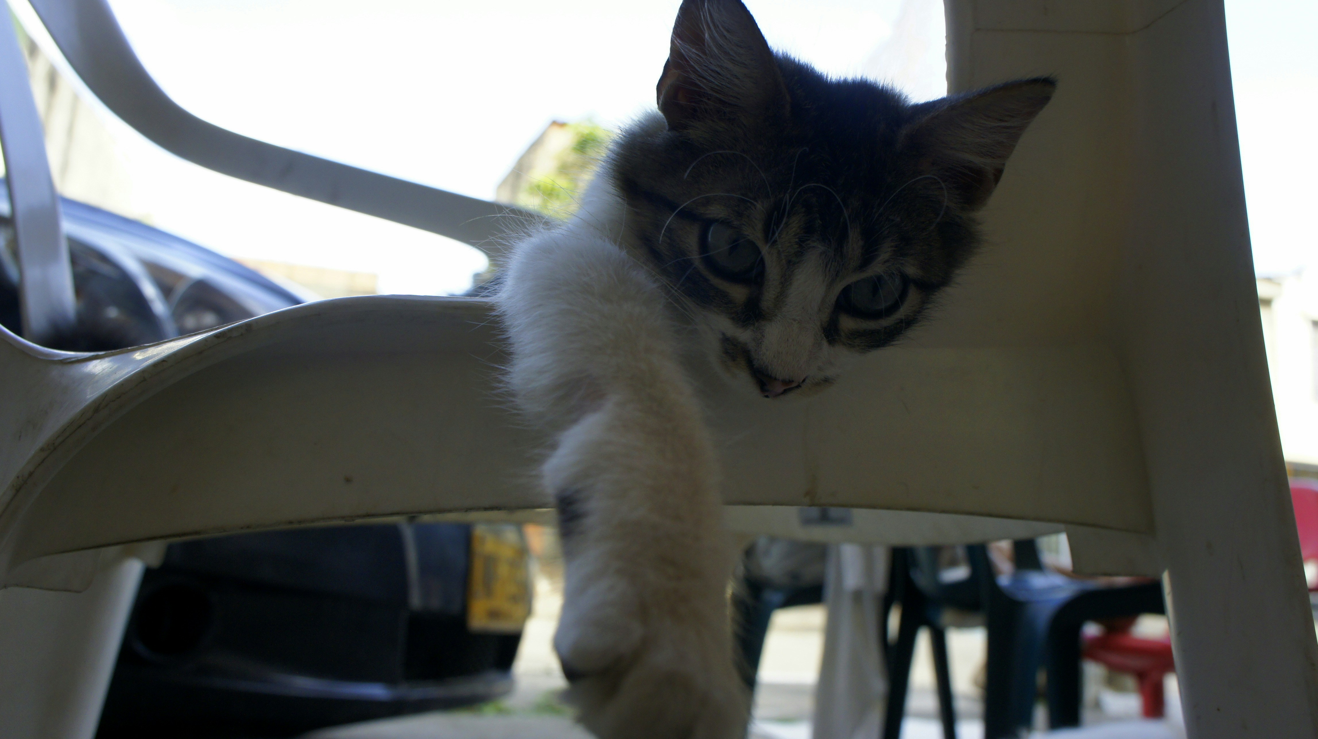 Photo by Diego Céspedes Cabrera with Sony NEX-3