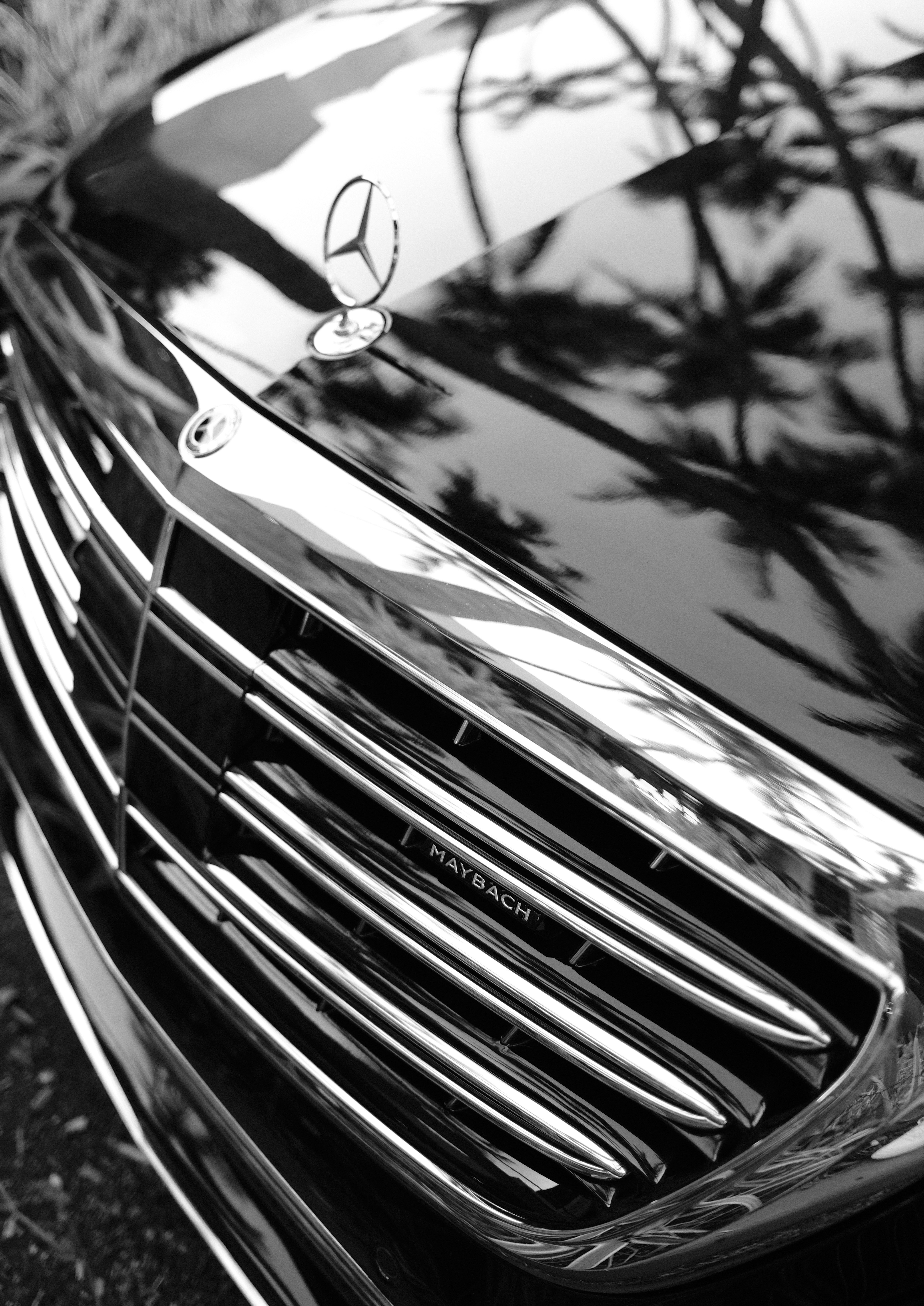 Photo by Angelina Kusznirewicz with Fujifilm X100V