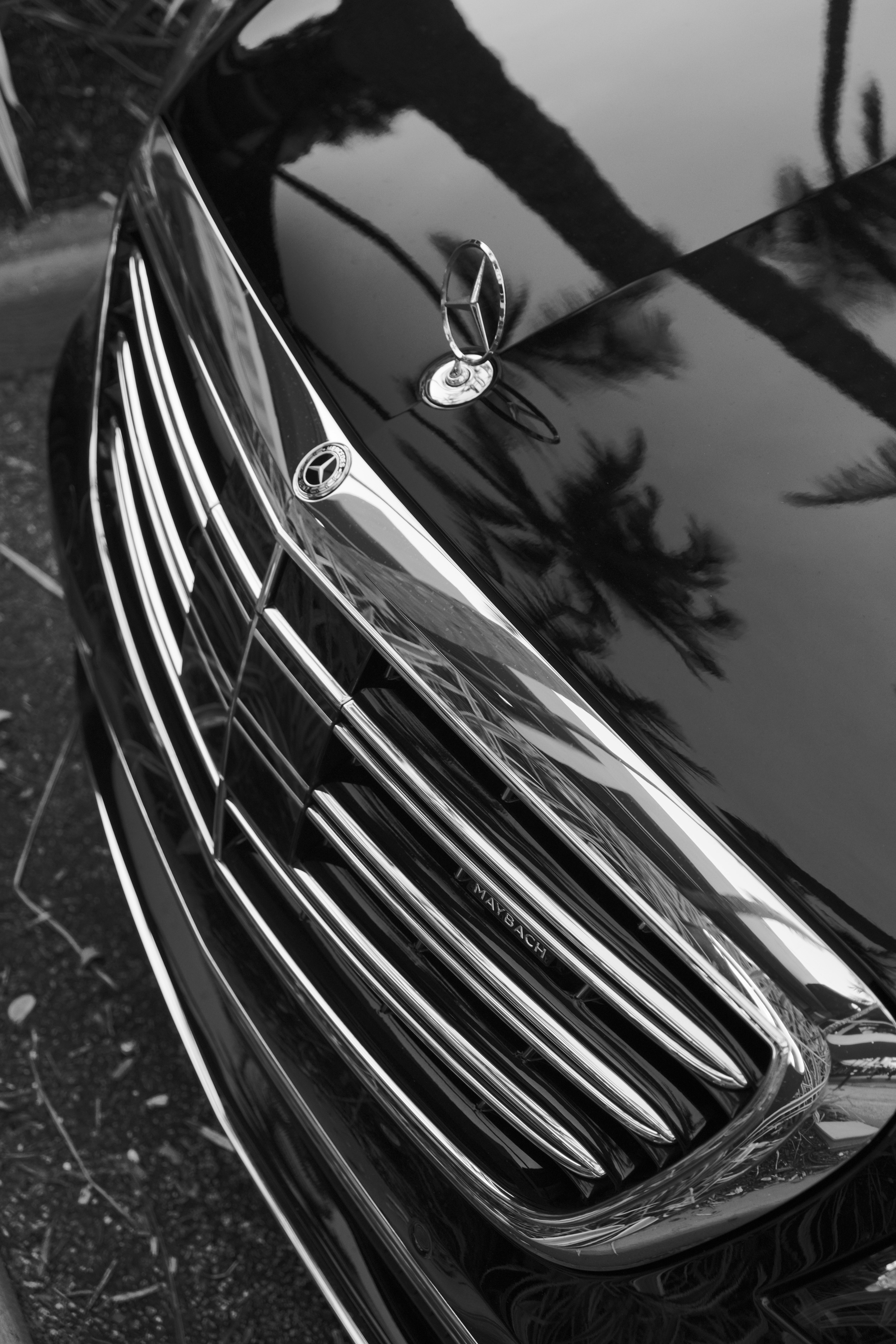Chrome in Reflection: Mercedes Hood Ornament Framed by Grille Lines