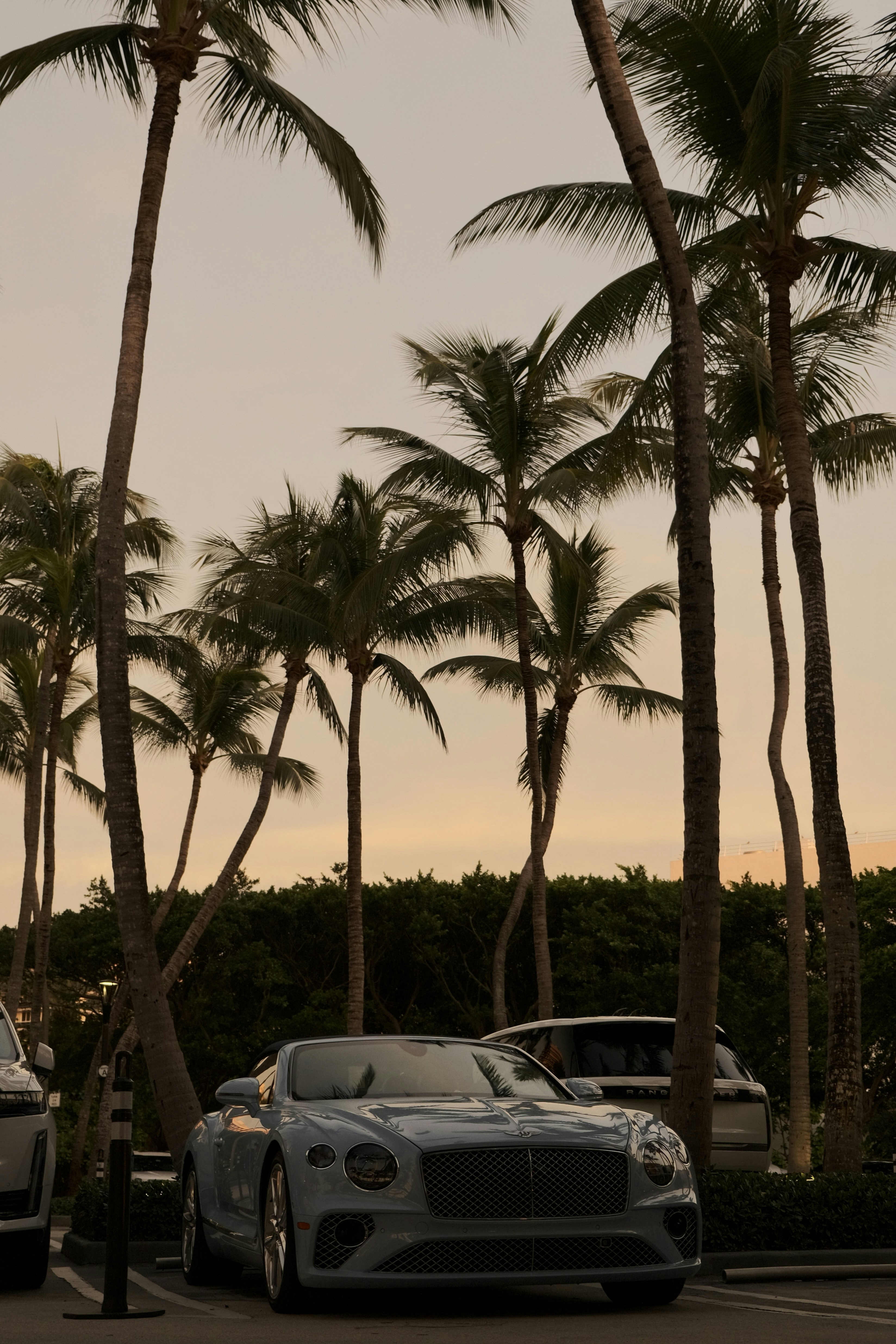 Palm Boulevard at Dusk: A Blue Bentley Beneath Sunset Palms