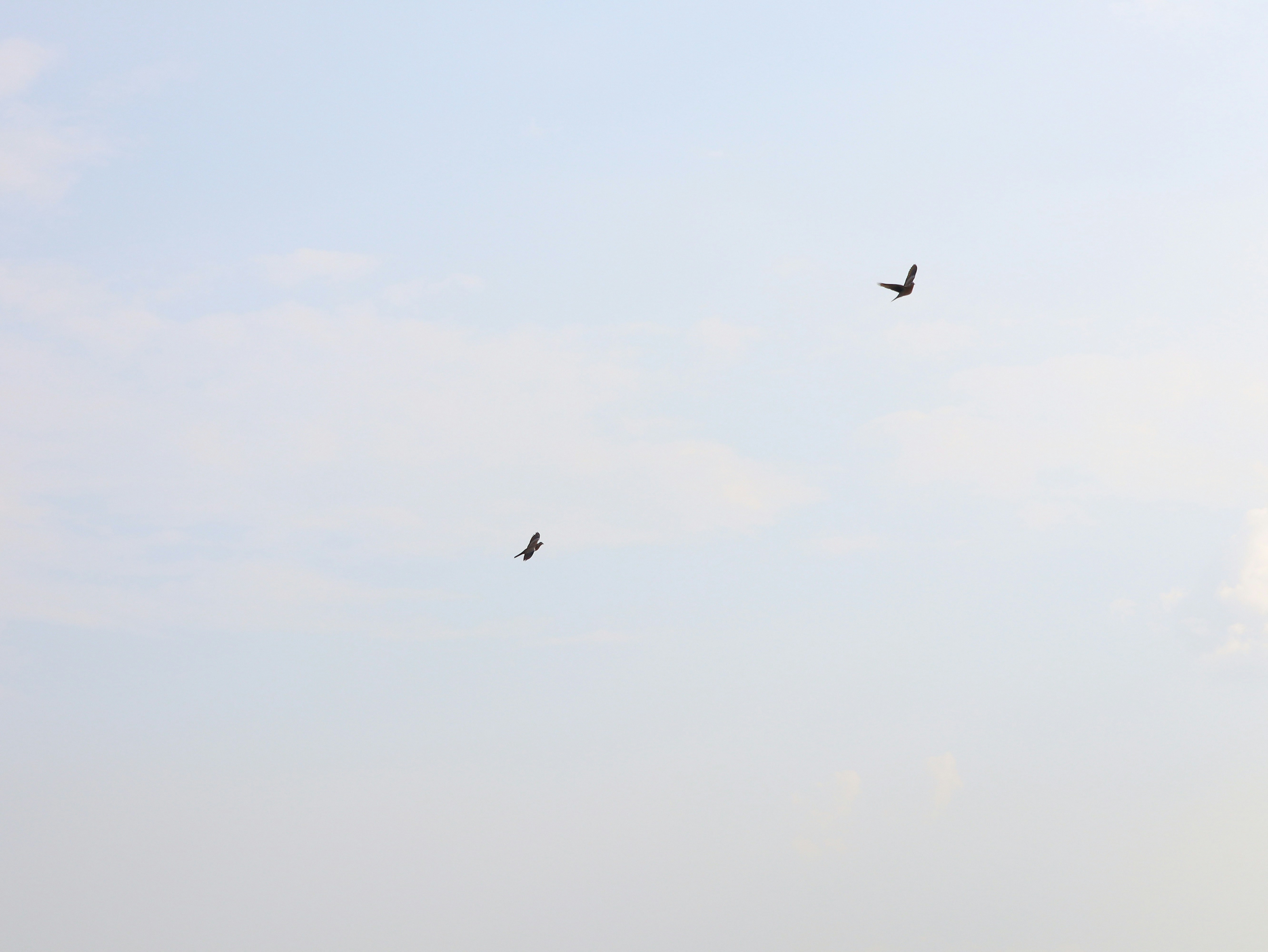 Photo by monk 333 with Canon EOS M50 Mark II