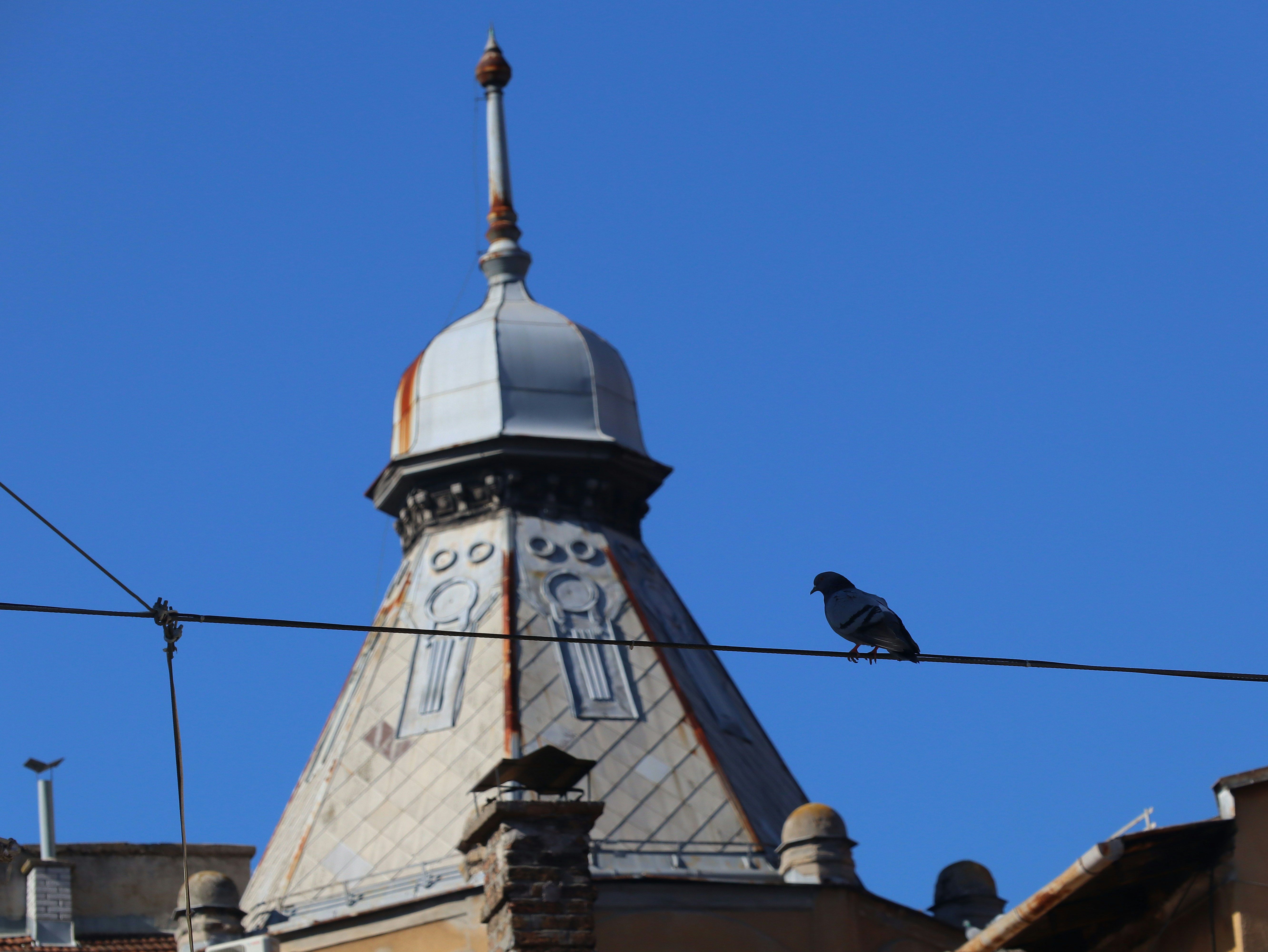Pigeon on a Wire Over a Conical Rooftop Beneath a Sapphire Sky