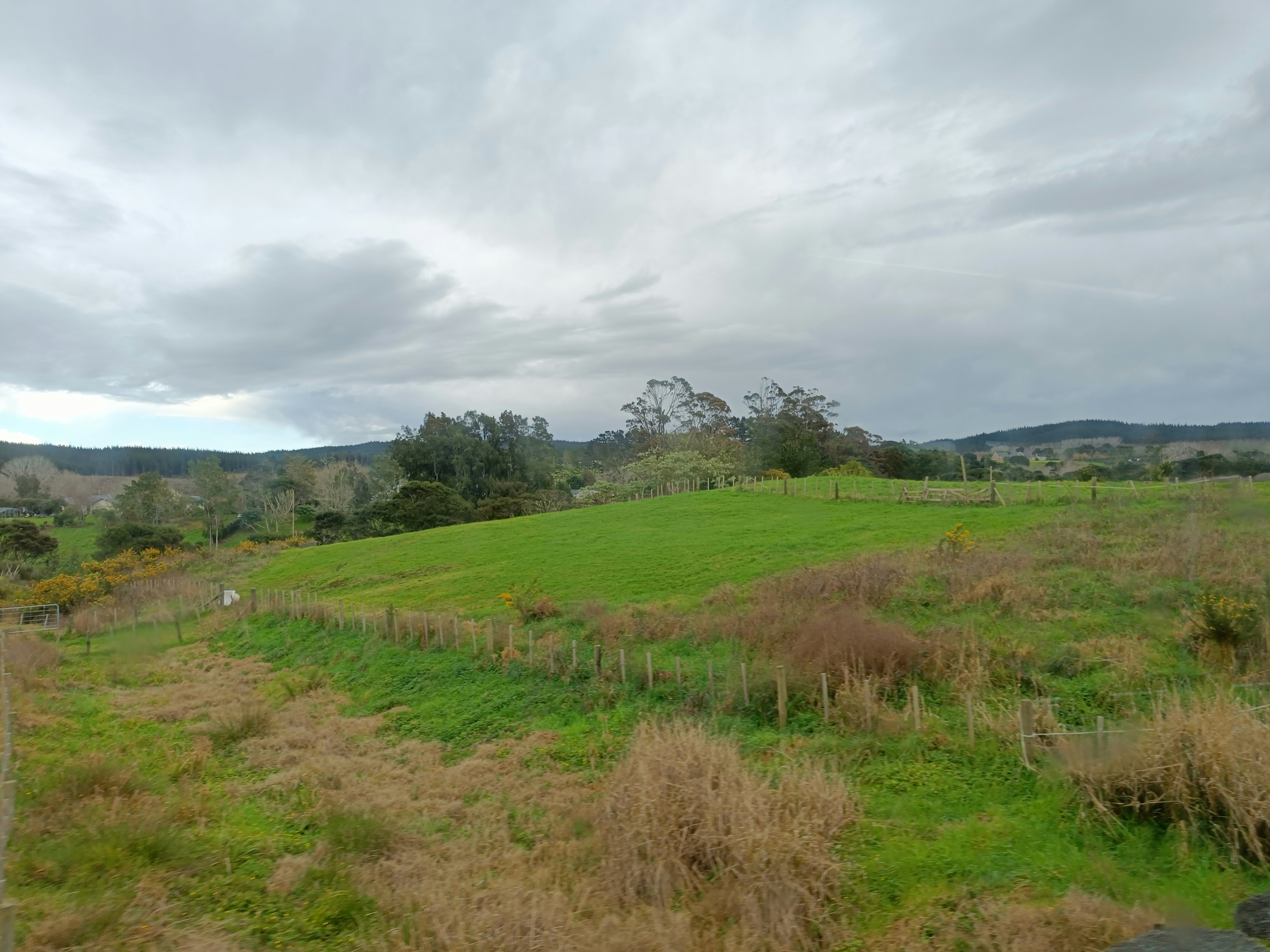 Photo by Jacob R Vamseedhar G with OnePlus Nord 2