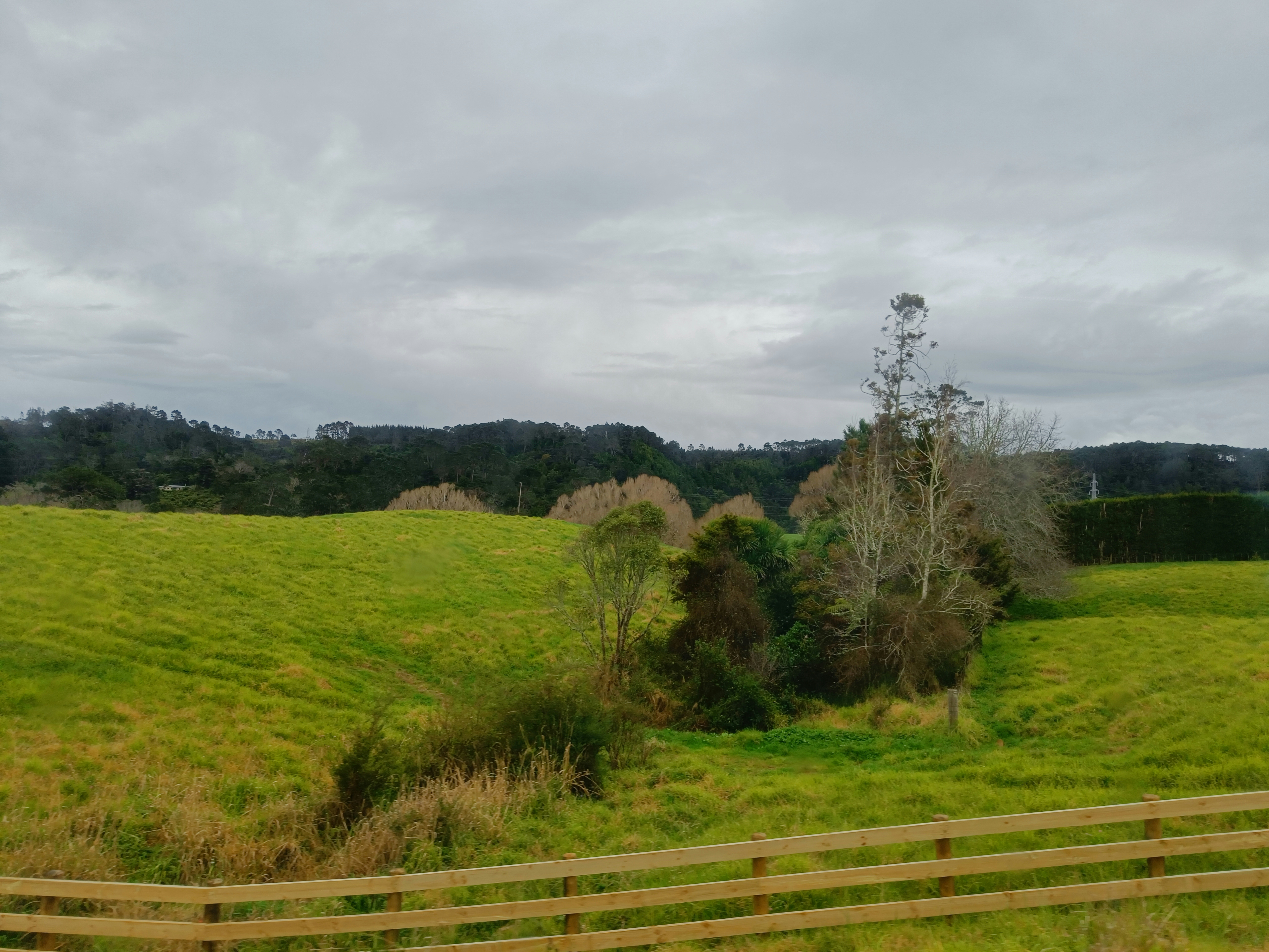 Photo by Jacob R Vamseedhar G with OnePlus Nord 2