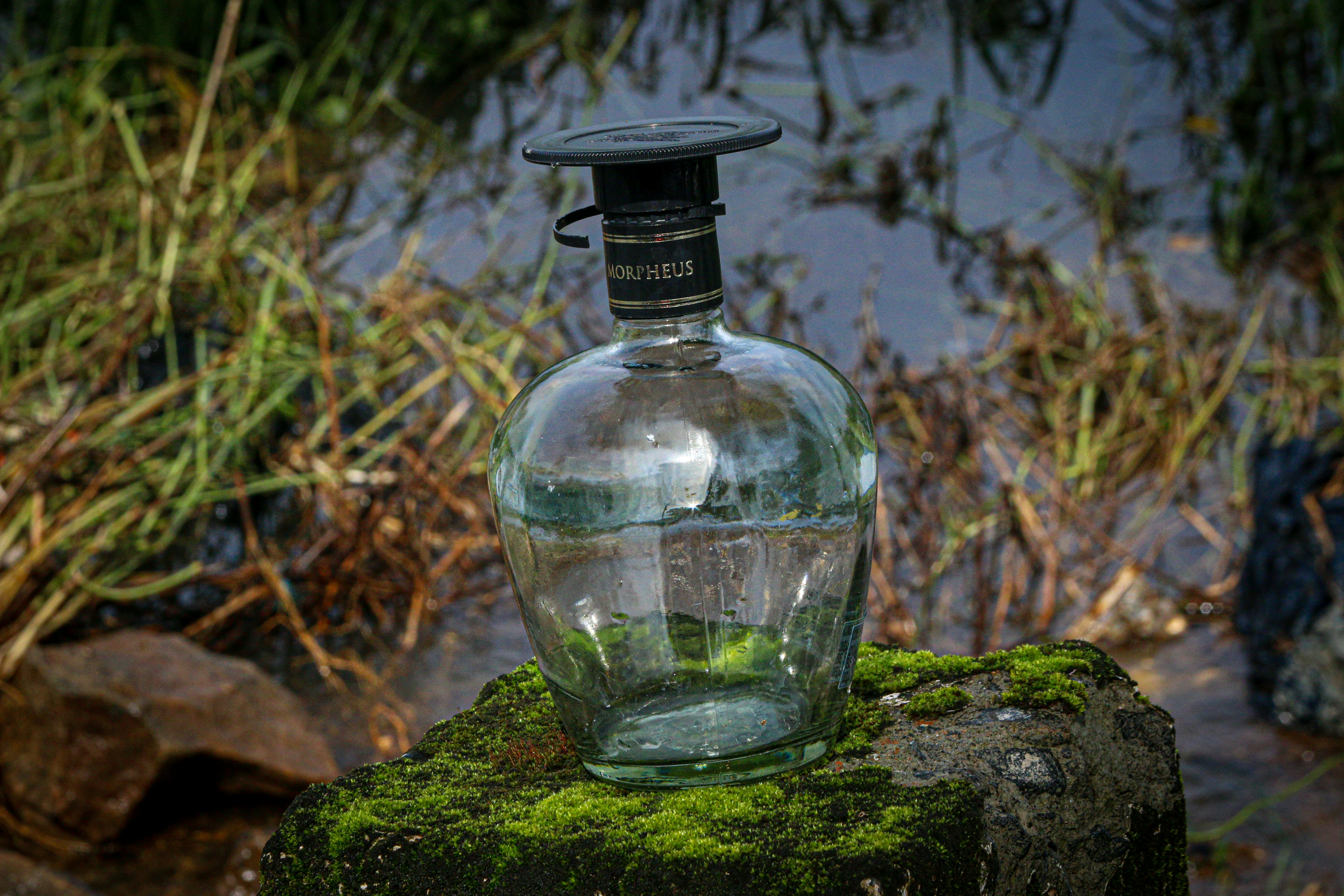 Una botella de vidrio sobre un tronco cubierto de musgo foto – Imagen ...