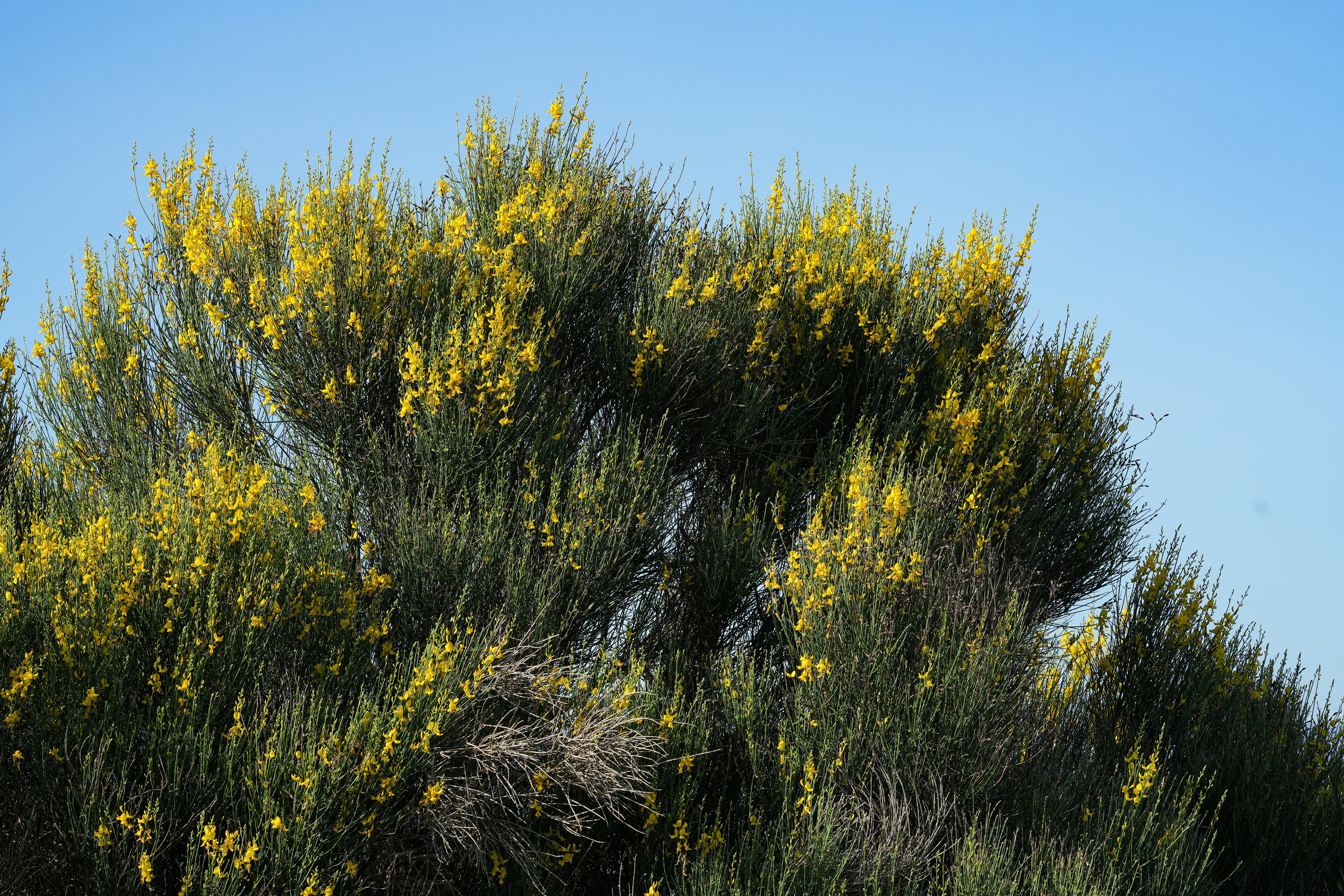 Busch Stadium Pictures | Download Free Images on Unsplash