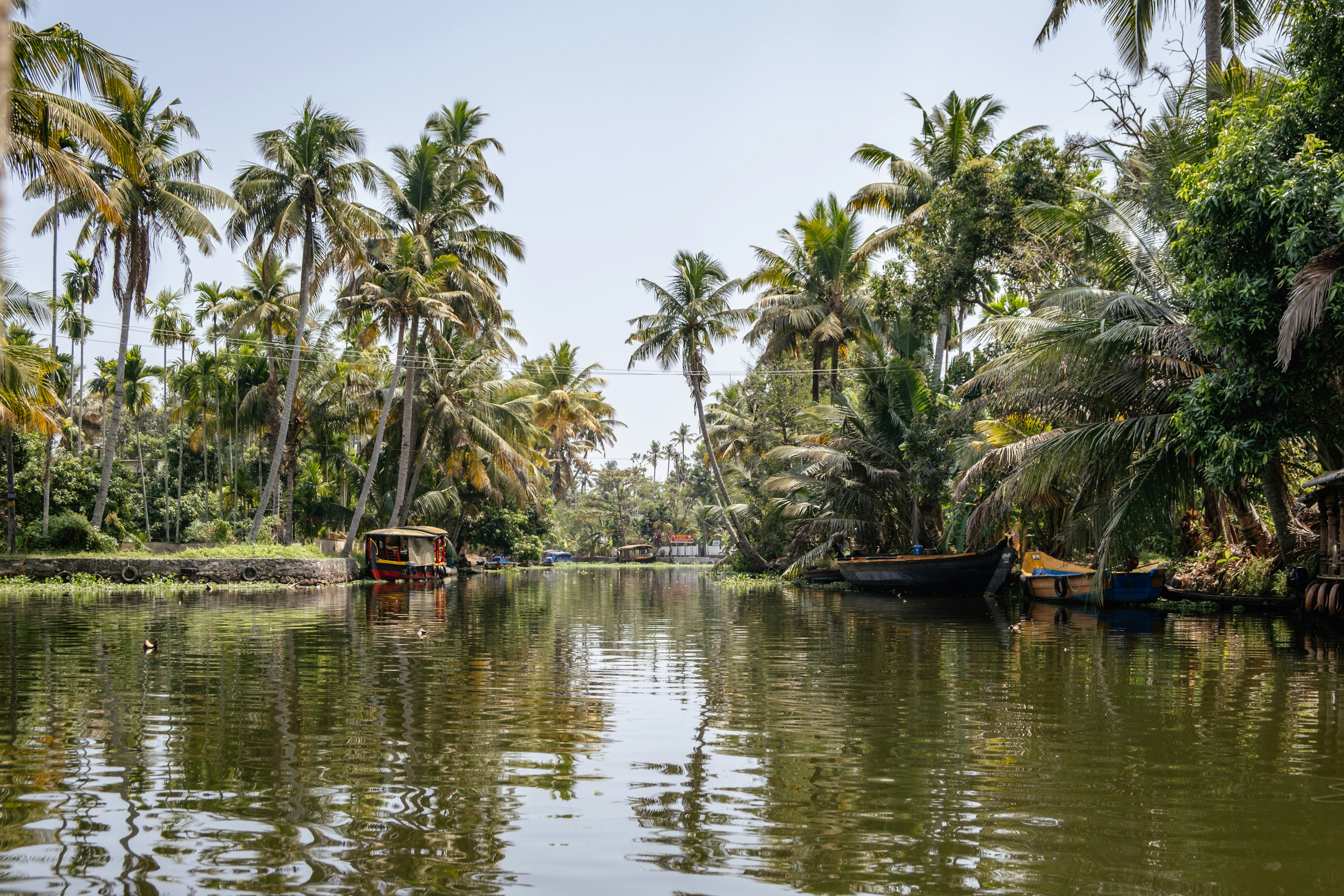 Serene canal lined with lush palm trees and small boats under a clear sky.