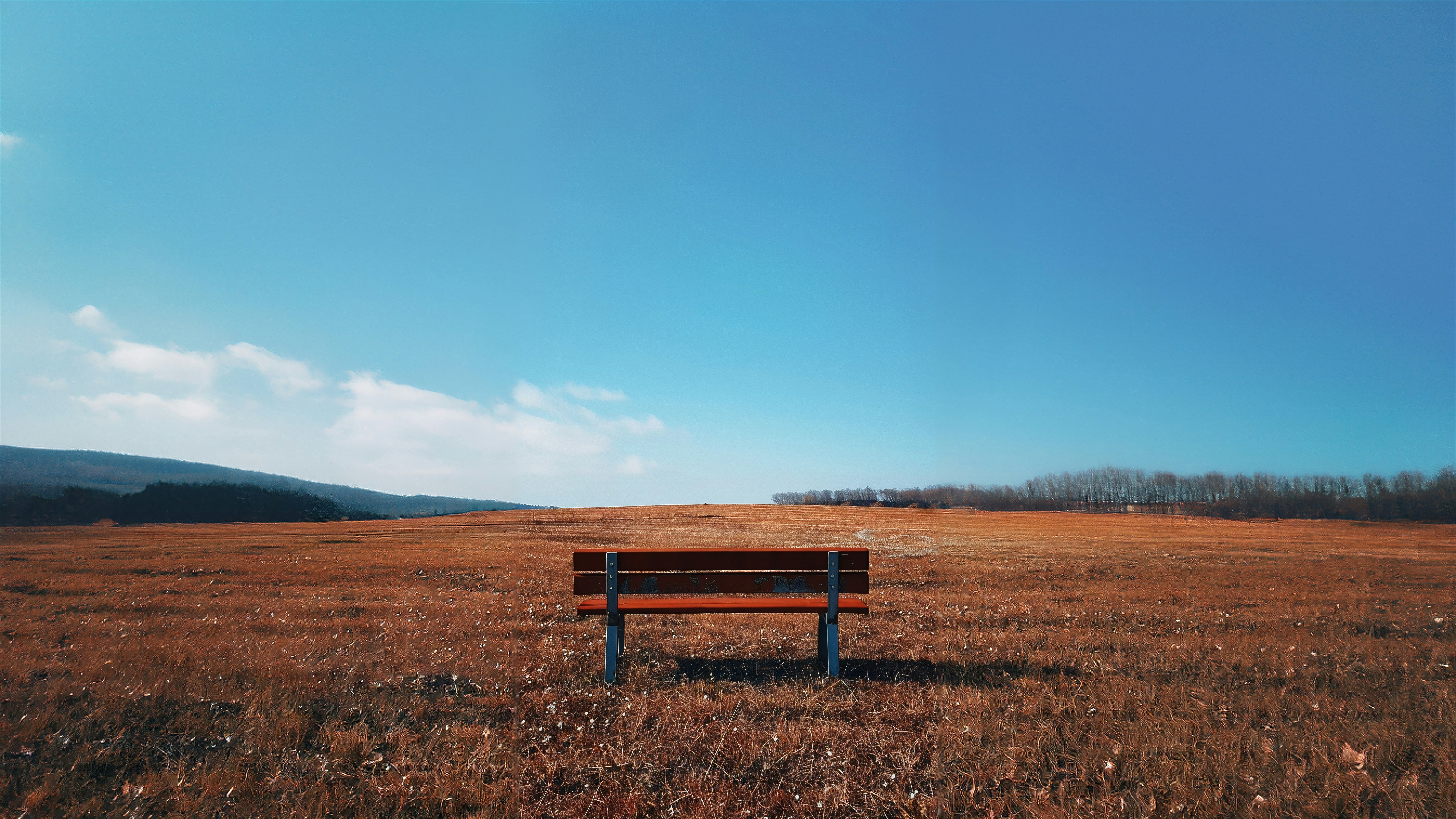 A lone bench in a field of brown grass photo – Free Bench Image on Unsplash