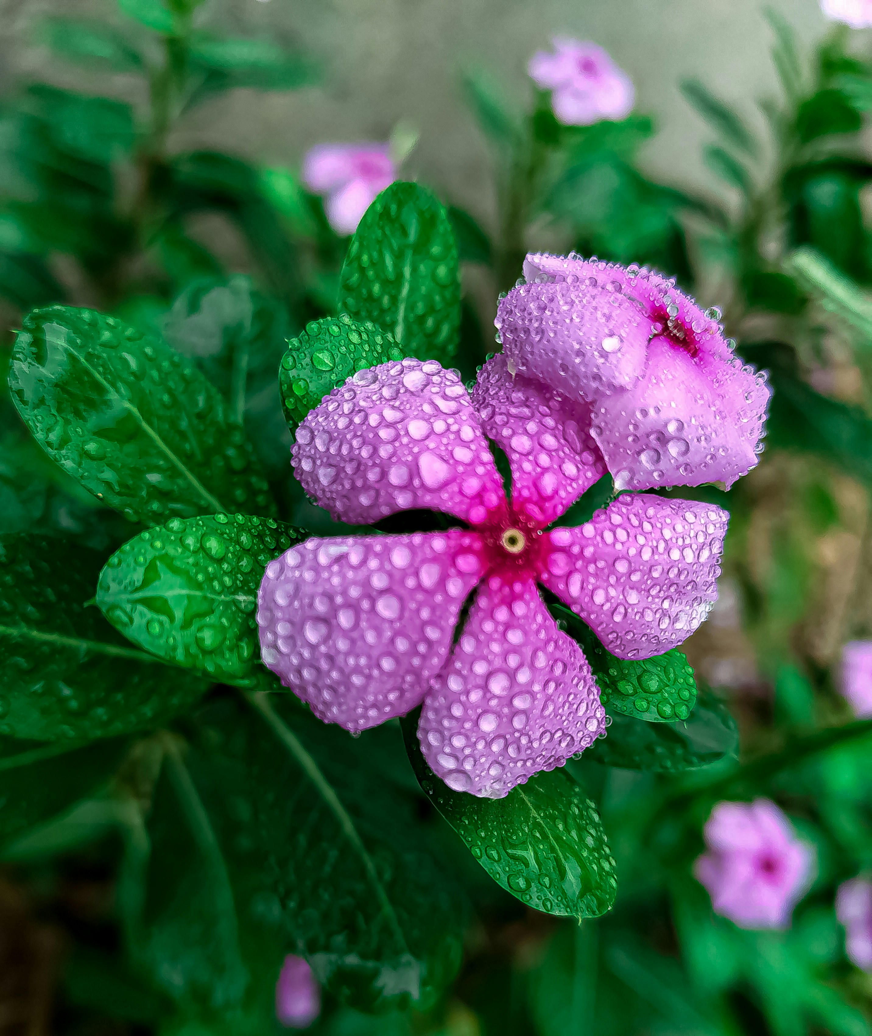 Photo by Dj Navi with Nothing Phone 1