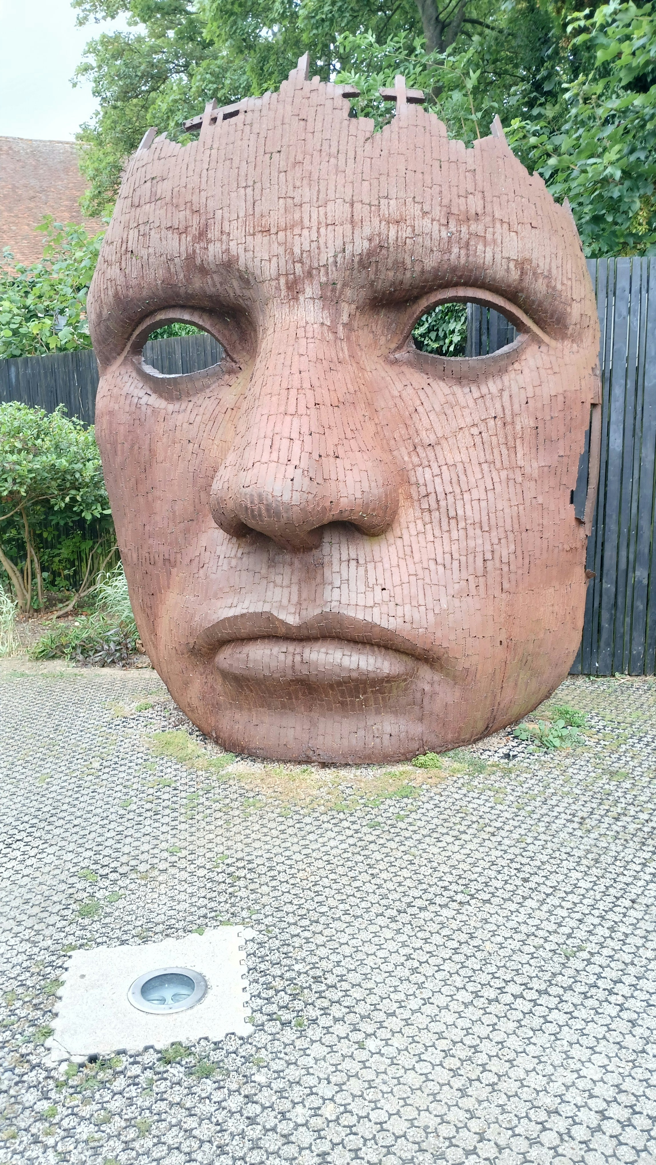 Photo by Phil Lev with Samsung Galaxy A15