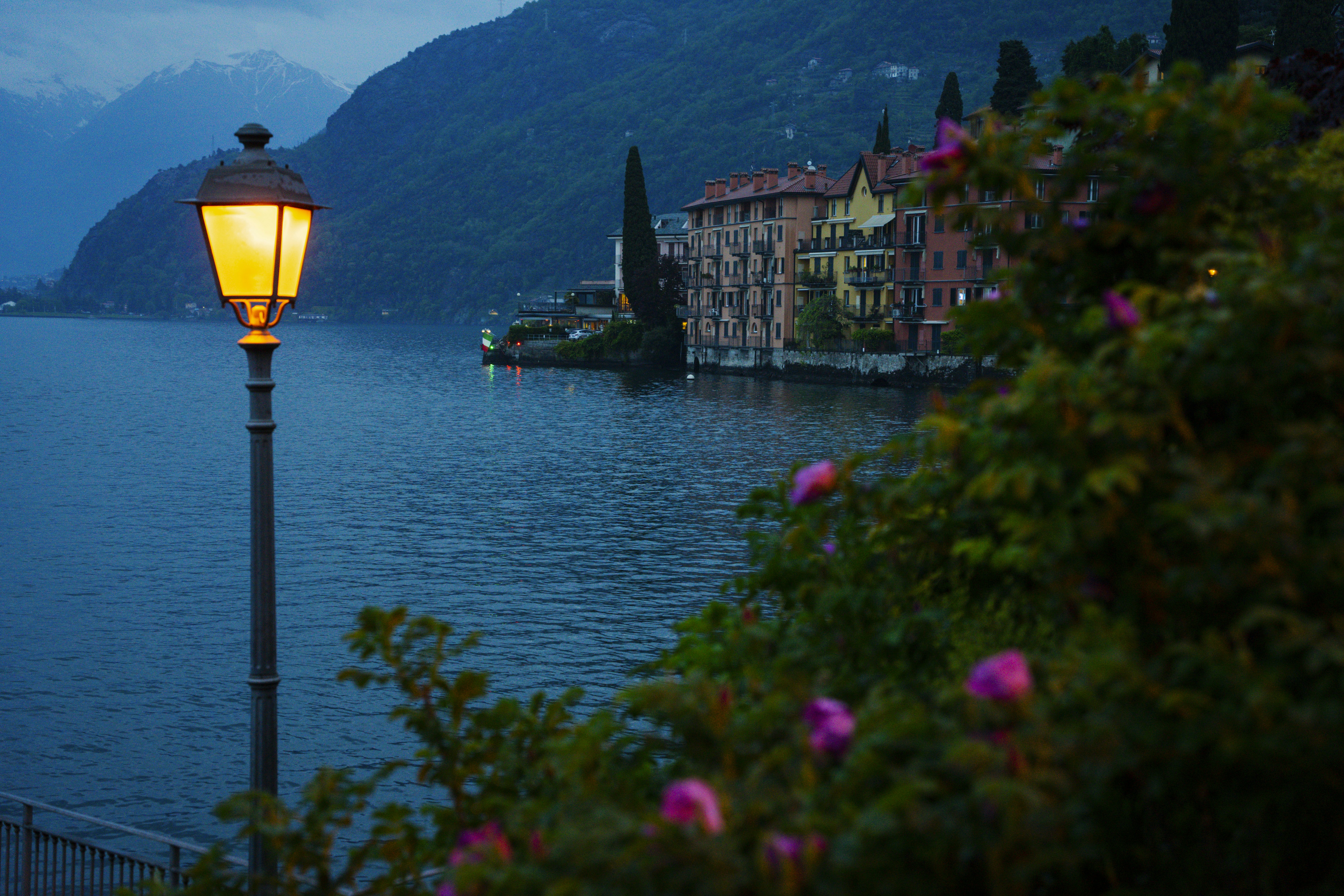 Lamplight Over the Lakeside Village: Pastel Facades and Blooming Foreground