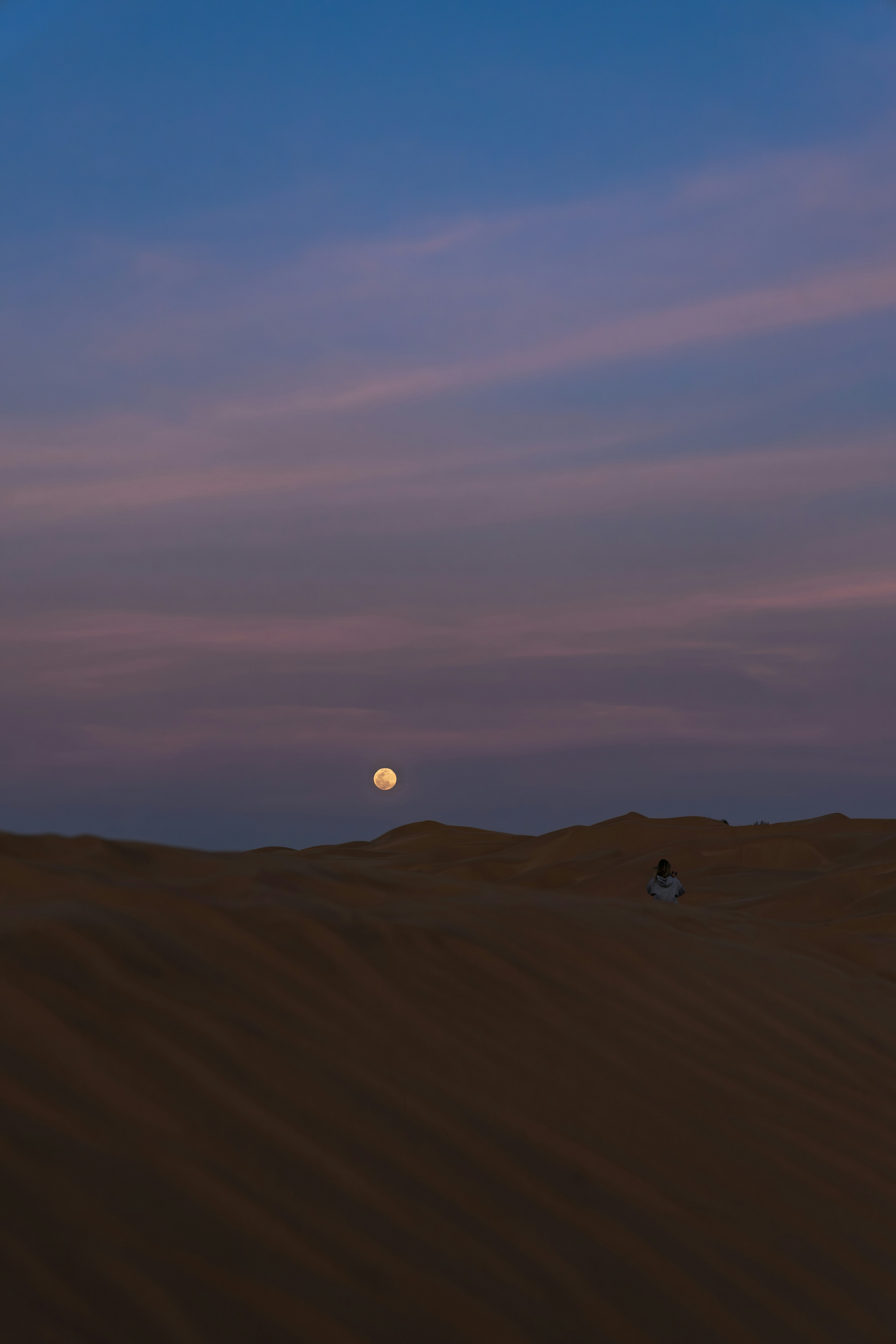 A full moon rising over a desert landscape photo – Free Wallpaper Image ...