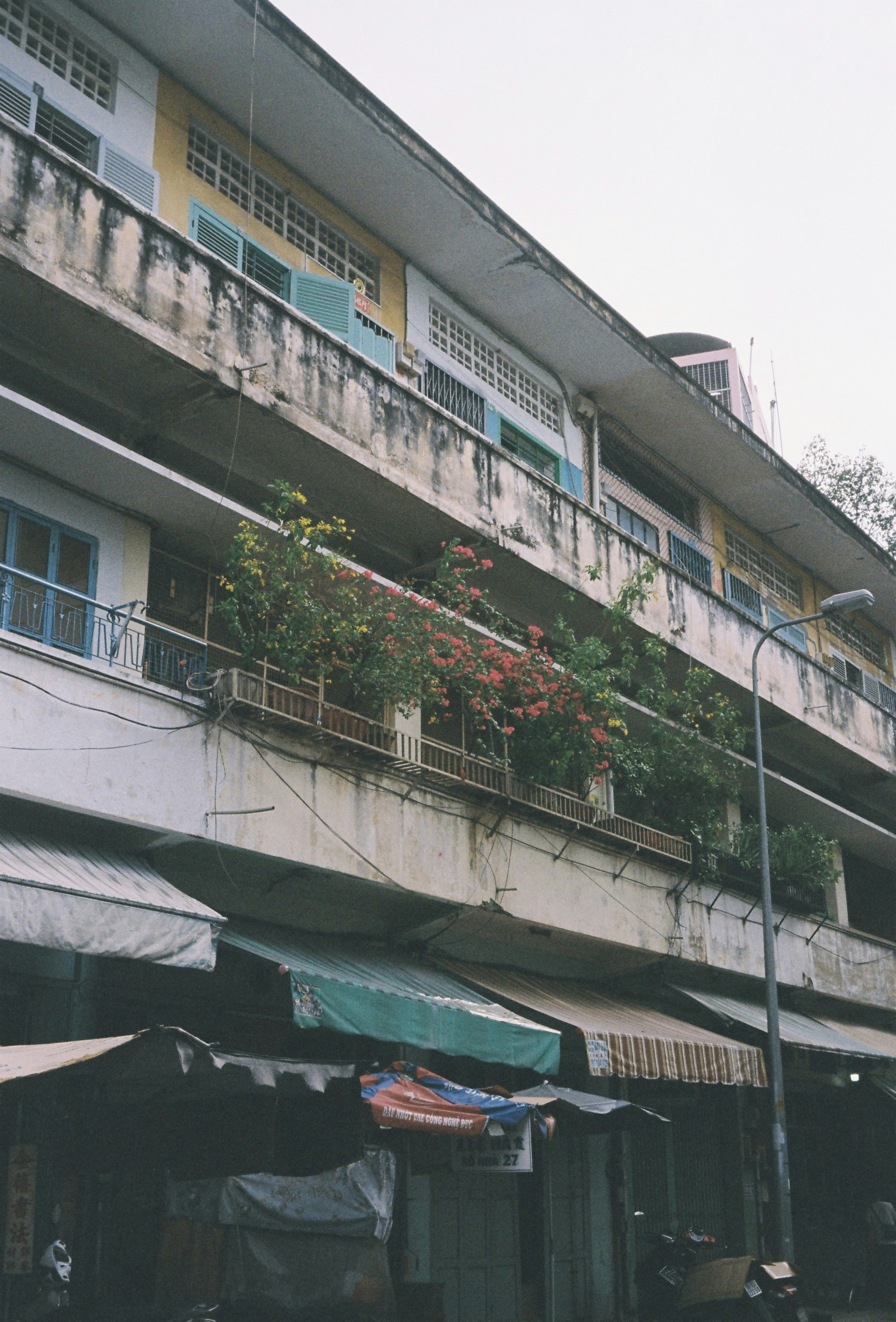 Photo by Khanh Do with Fujifilm SP-3000