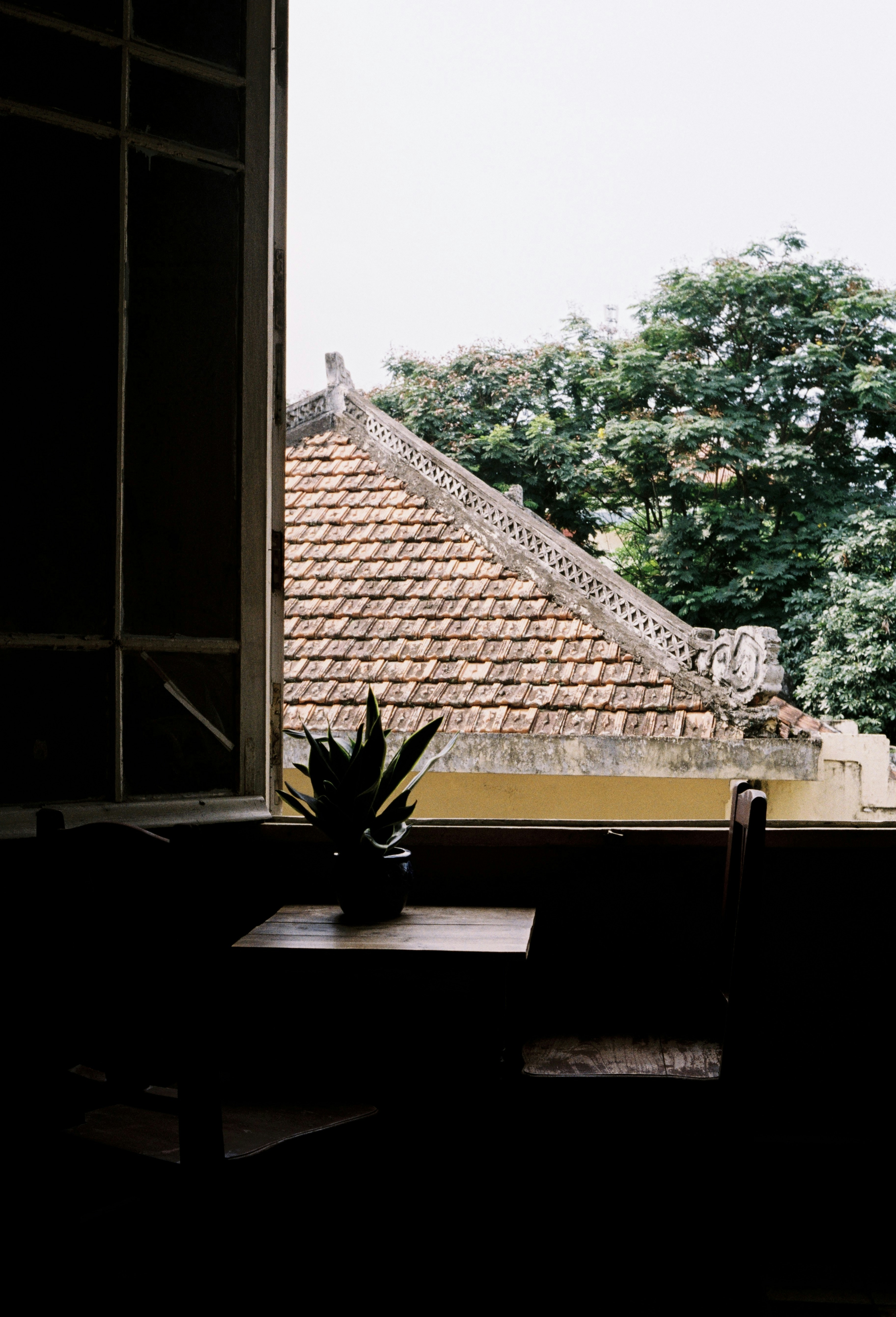 Quiet Corner: Plant on a Table Framed by a Rooftop Window
