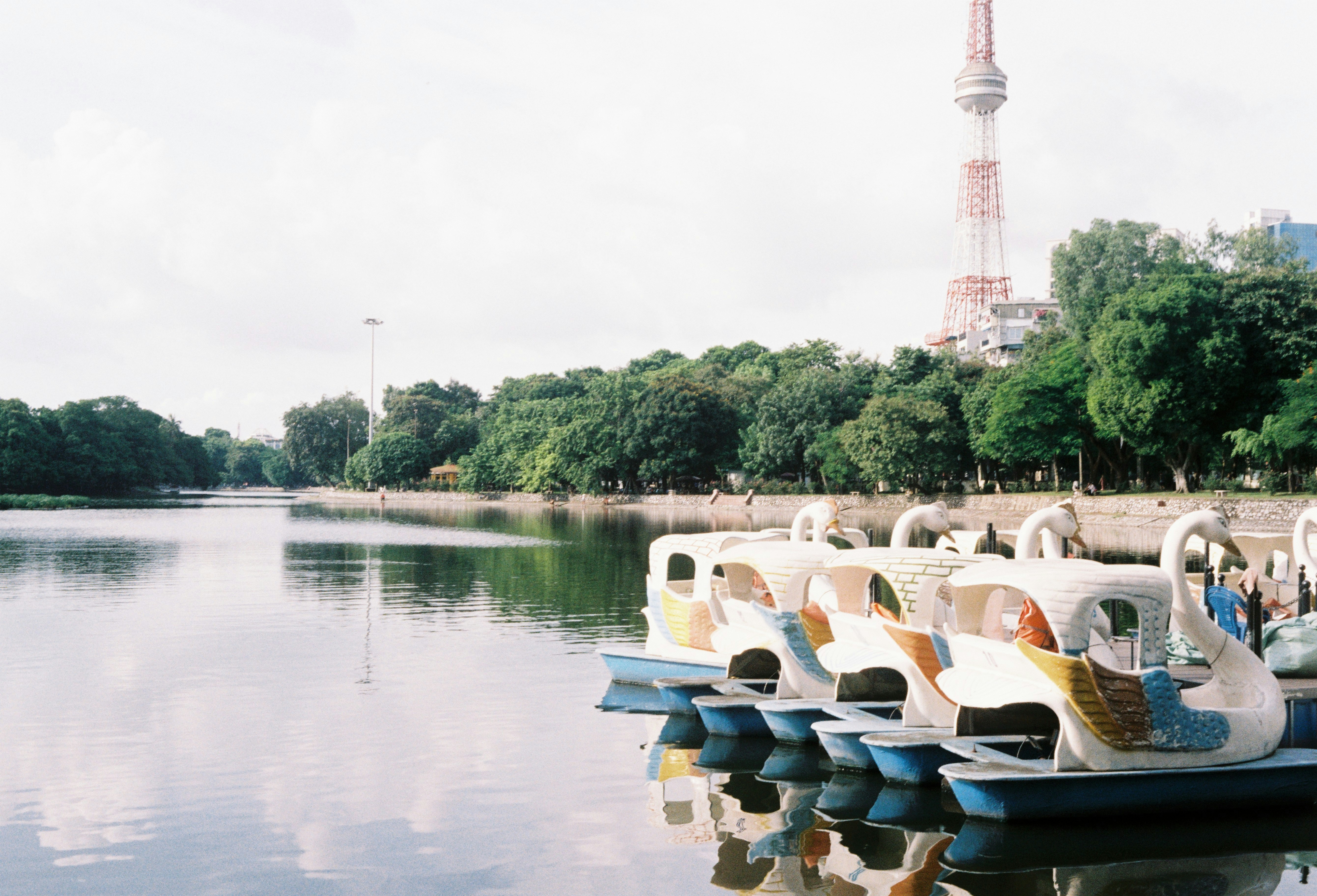 Swan-Boat Row at Riverside: Calm Reflections and a Tower on the Horizon