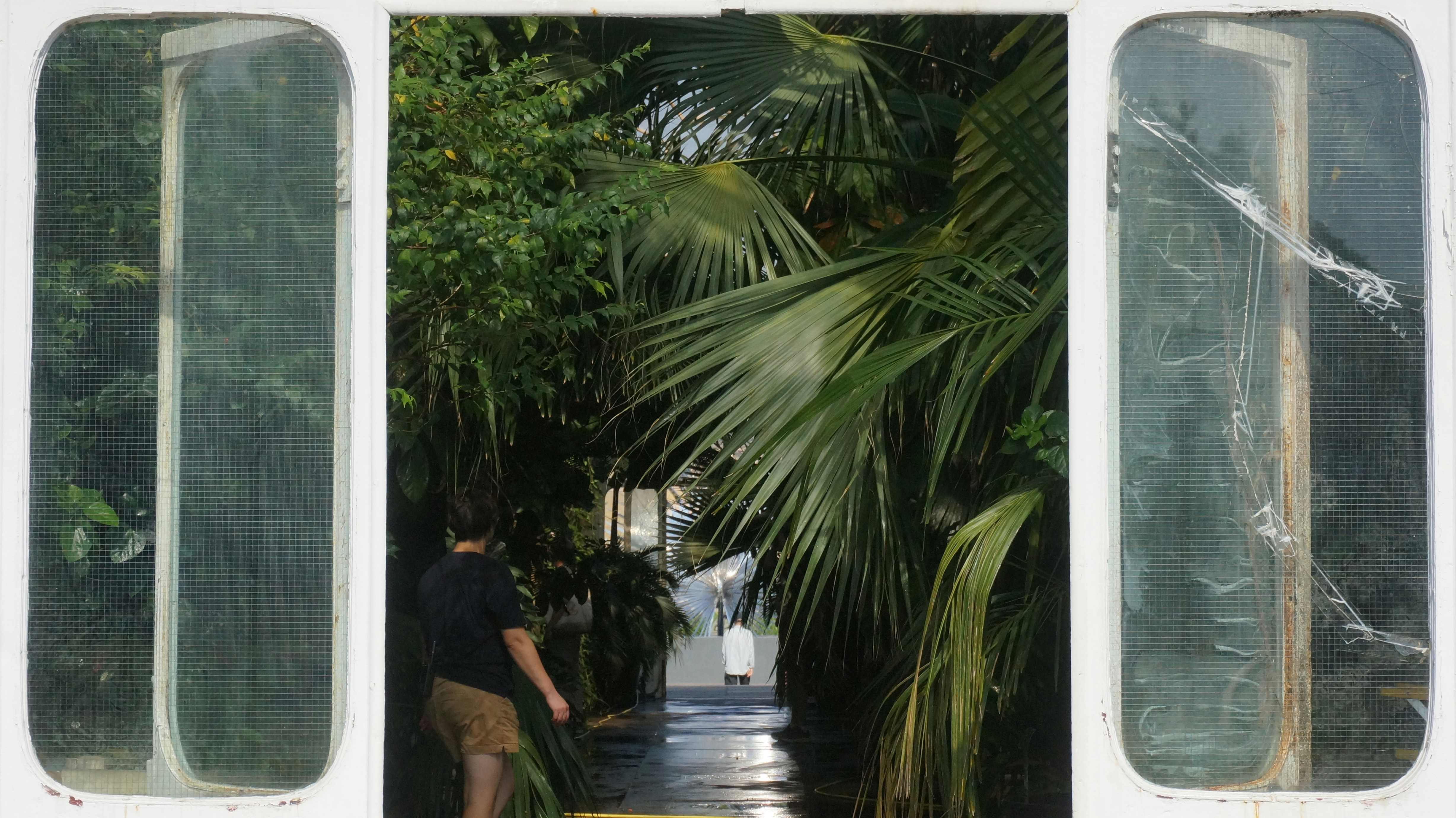 Palm Gate Passage: A Lone Walker Toward the Light