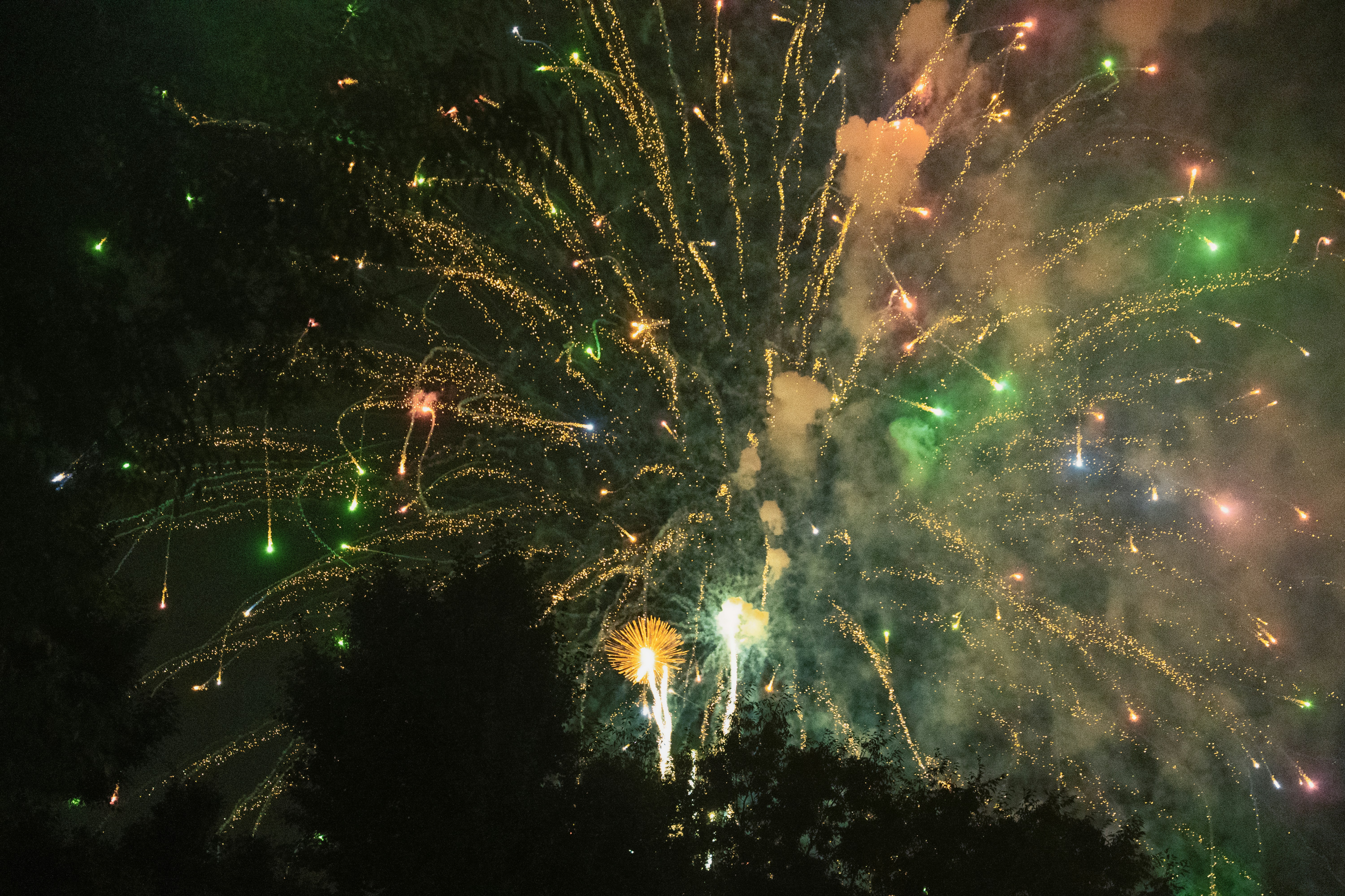 Photo by ayumi kubo with Sony Alpha 7C