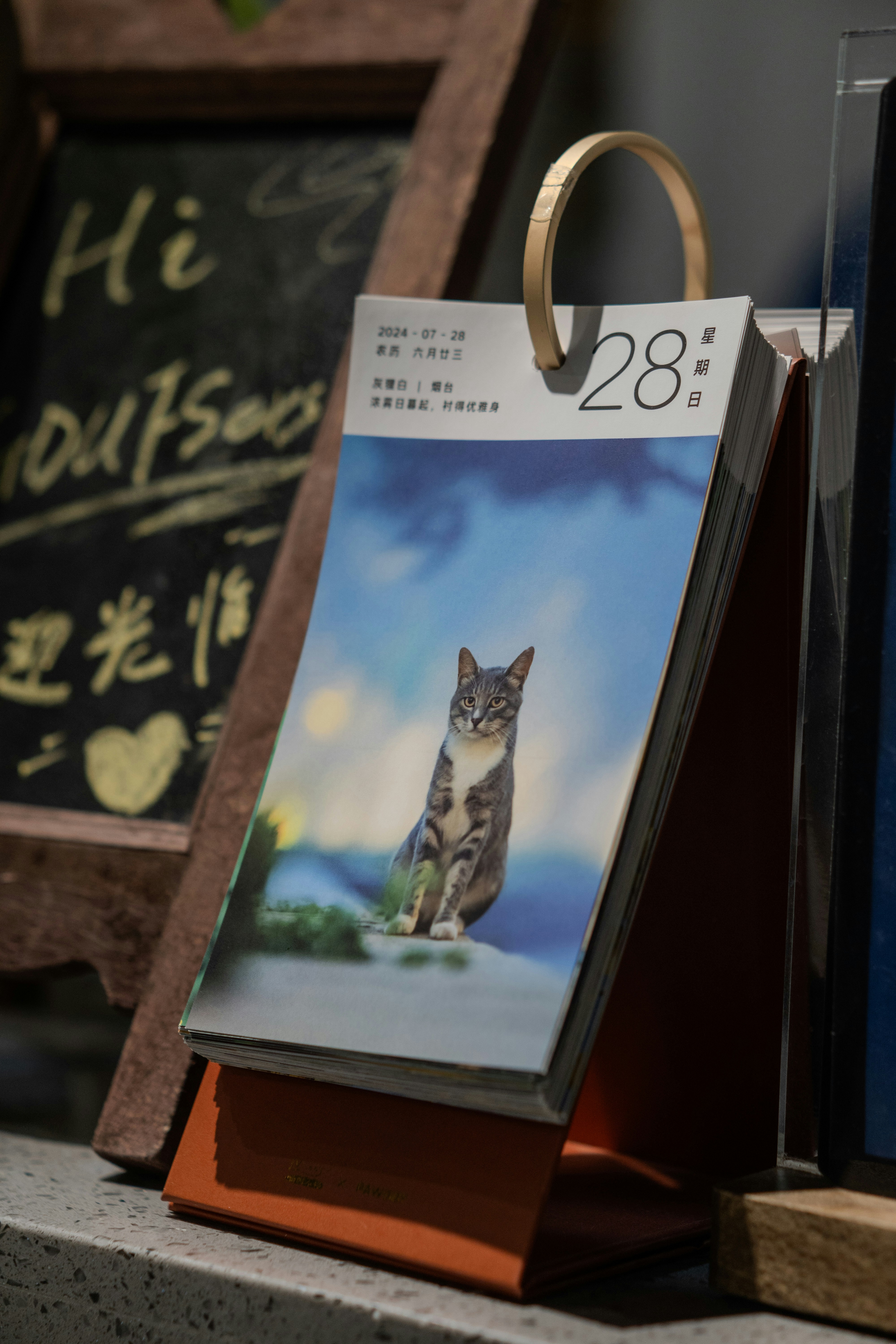 Photo by Shawn Rain with Sony Alpha 6400