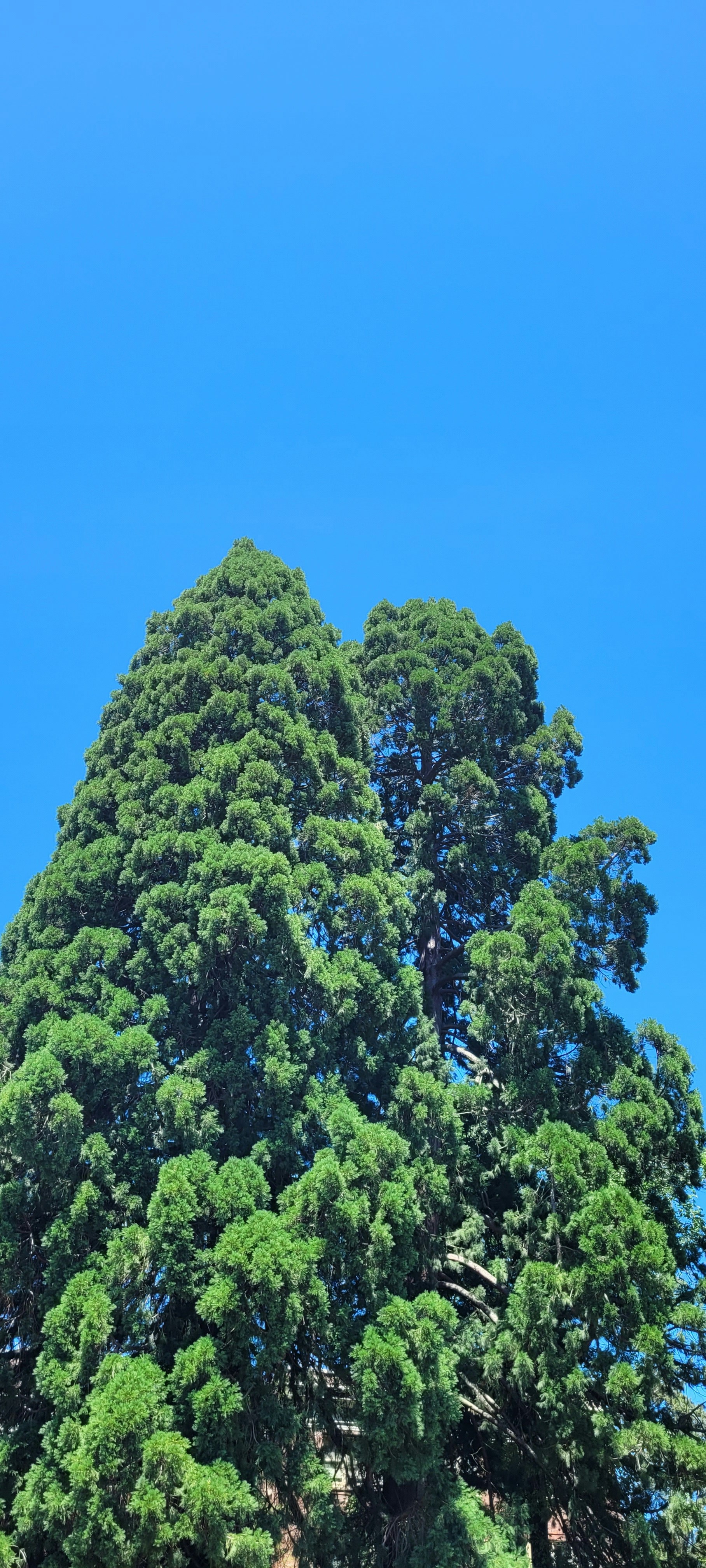 Photo by Noora Az with Samsung Galaxy S20 FE