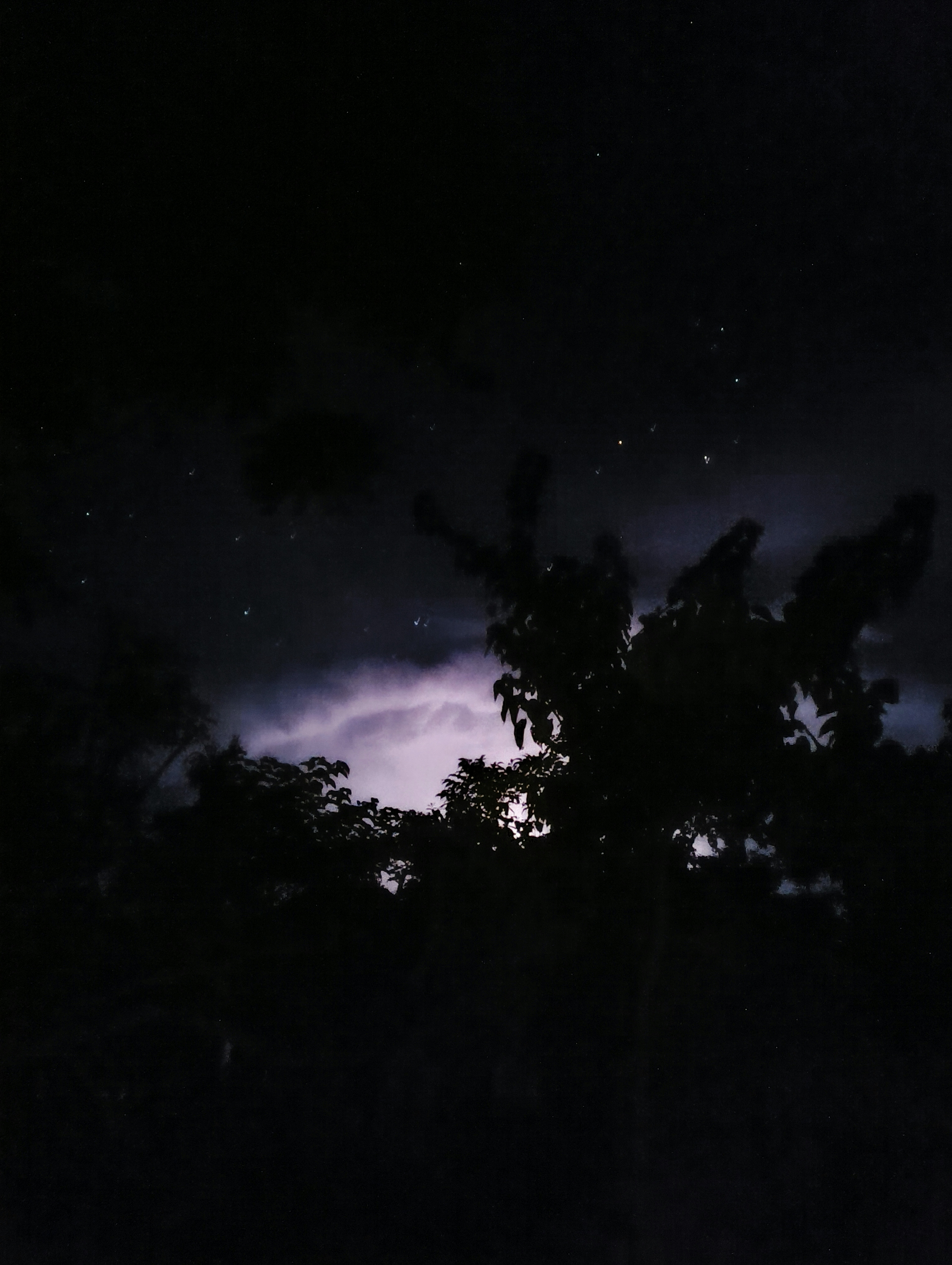 Night photograph of a star-filled sky above dark forest silhouettes, with a soft purple glow along the horizon.