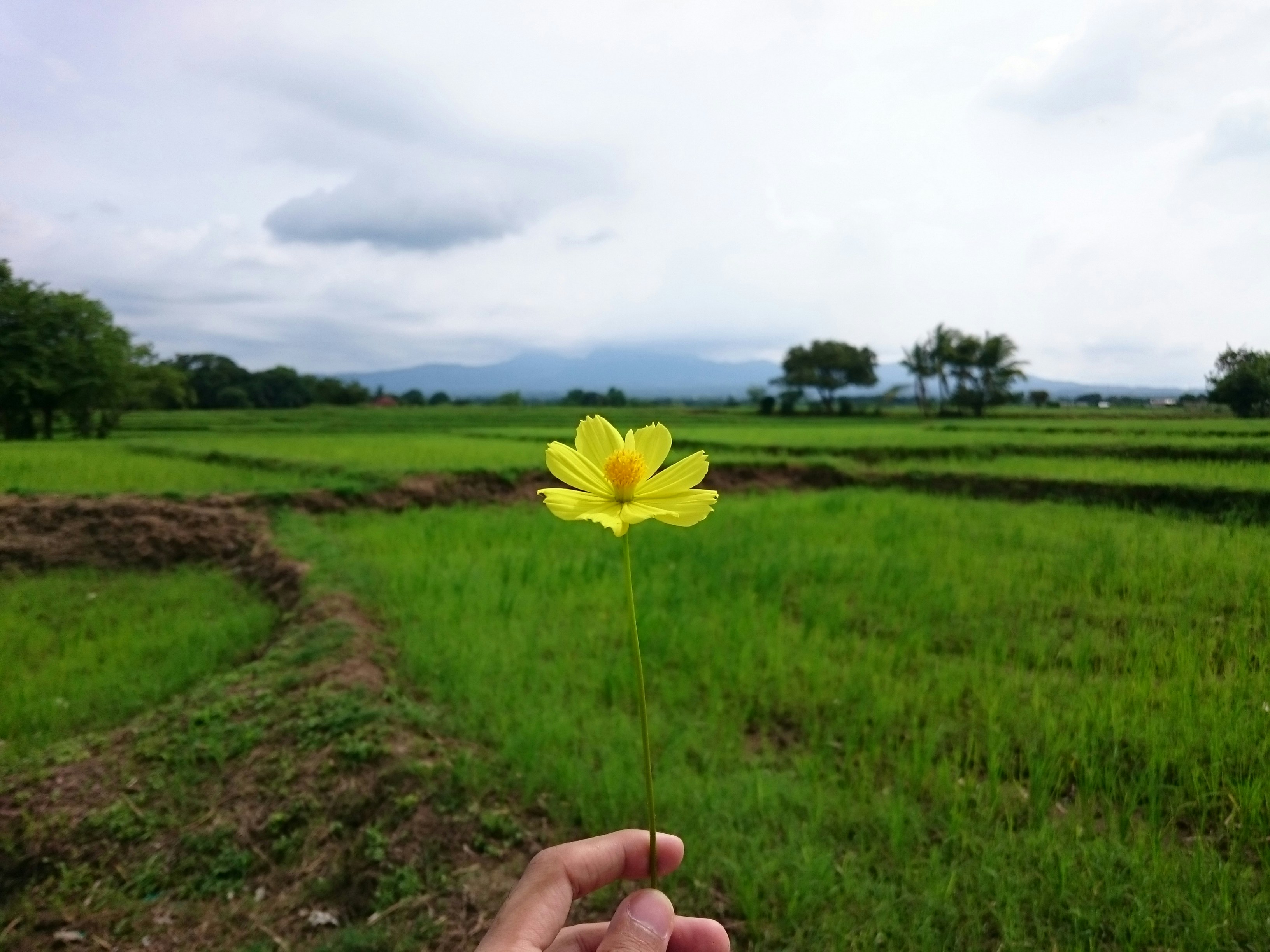 Photo by Lhar Capili with Sony Xperia Z3