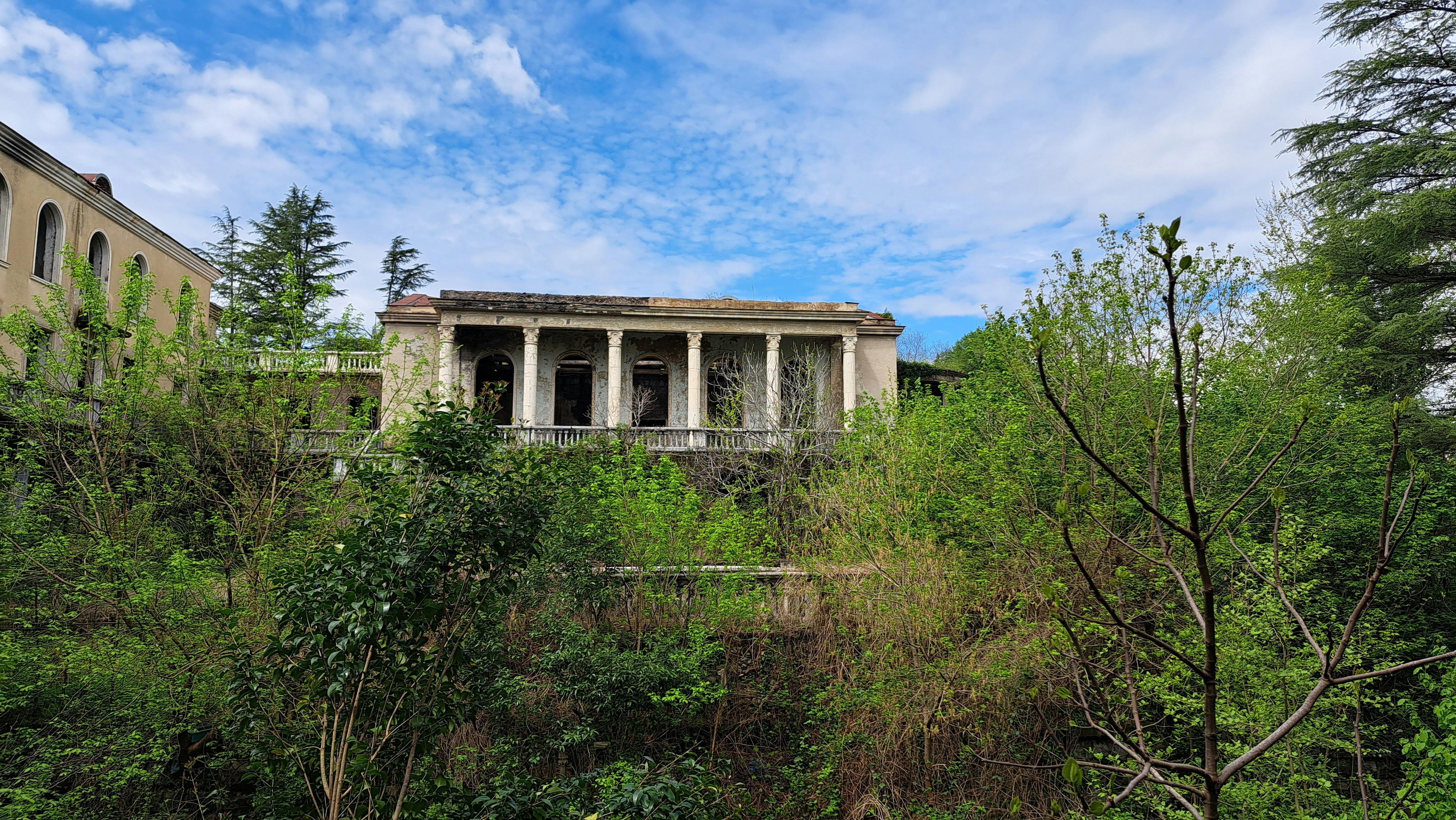 Sample photo from Samsung Galaxy A53