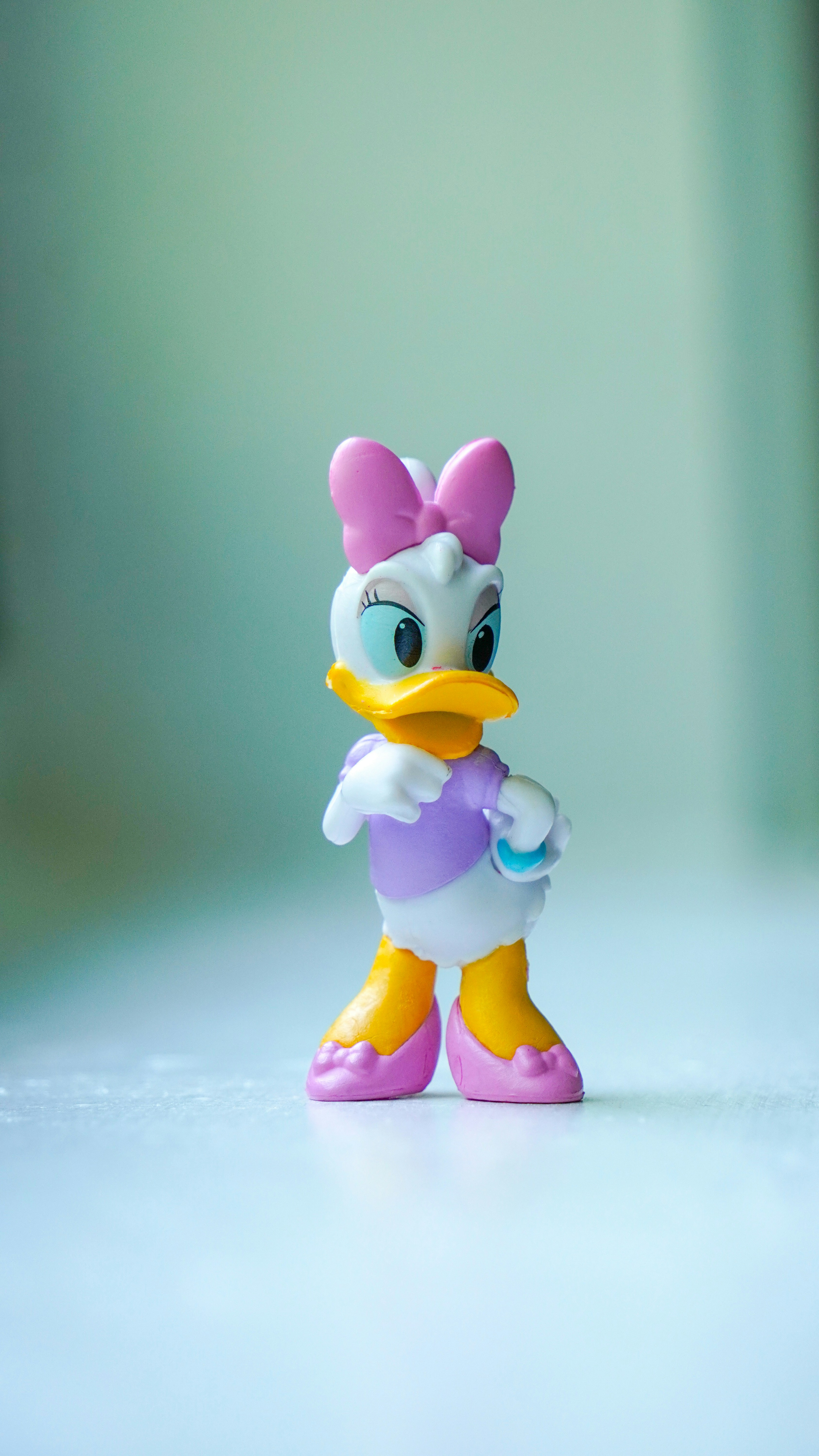 Pocket-Sized Daisy: Soft Focus Portrait of a Toy Duck